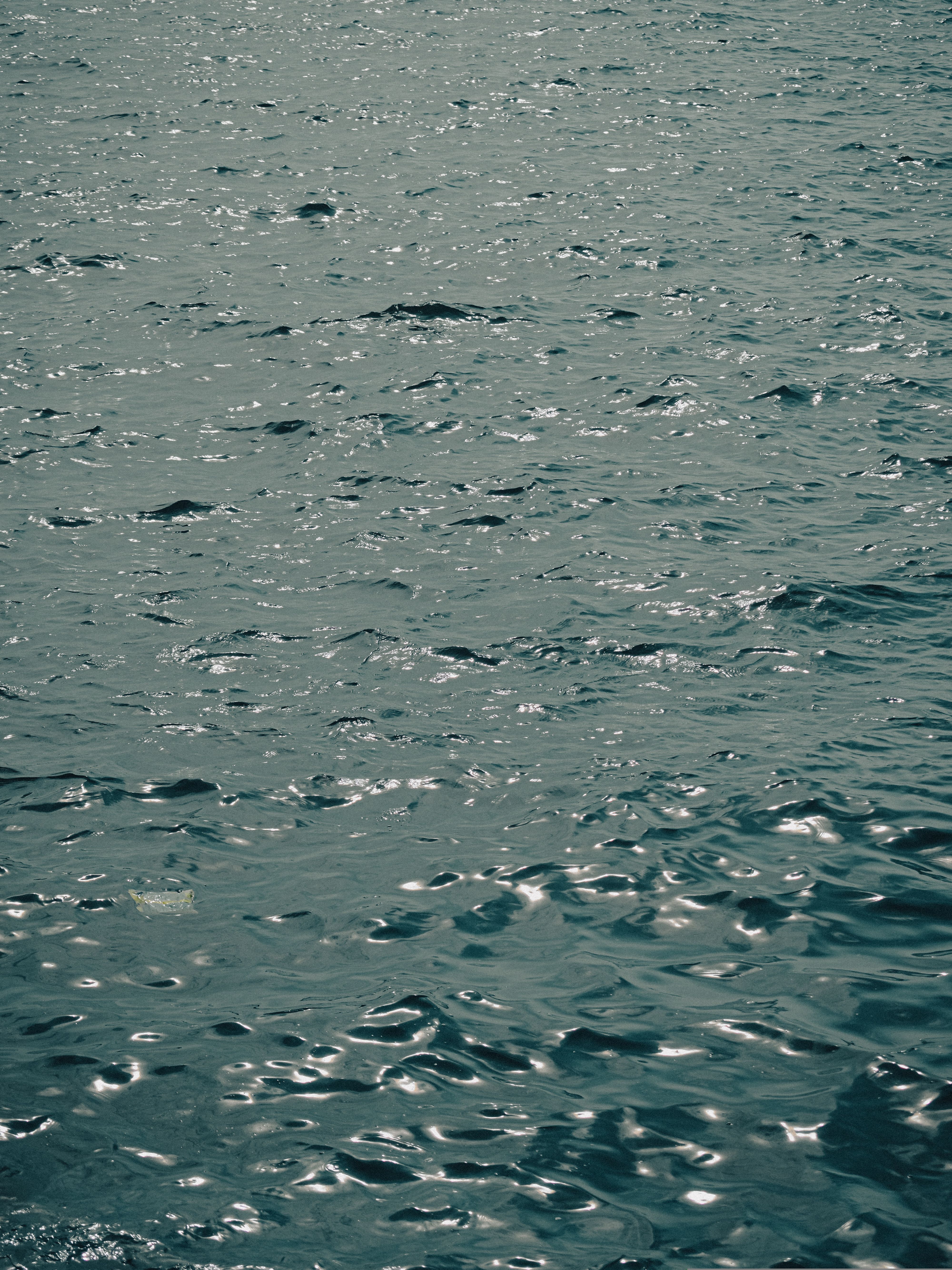 Close-up of the Water Surface · Free Stock Photo