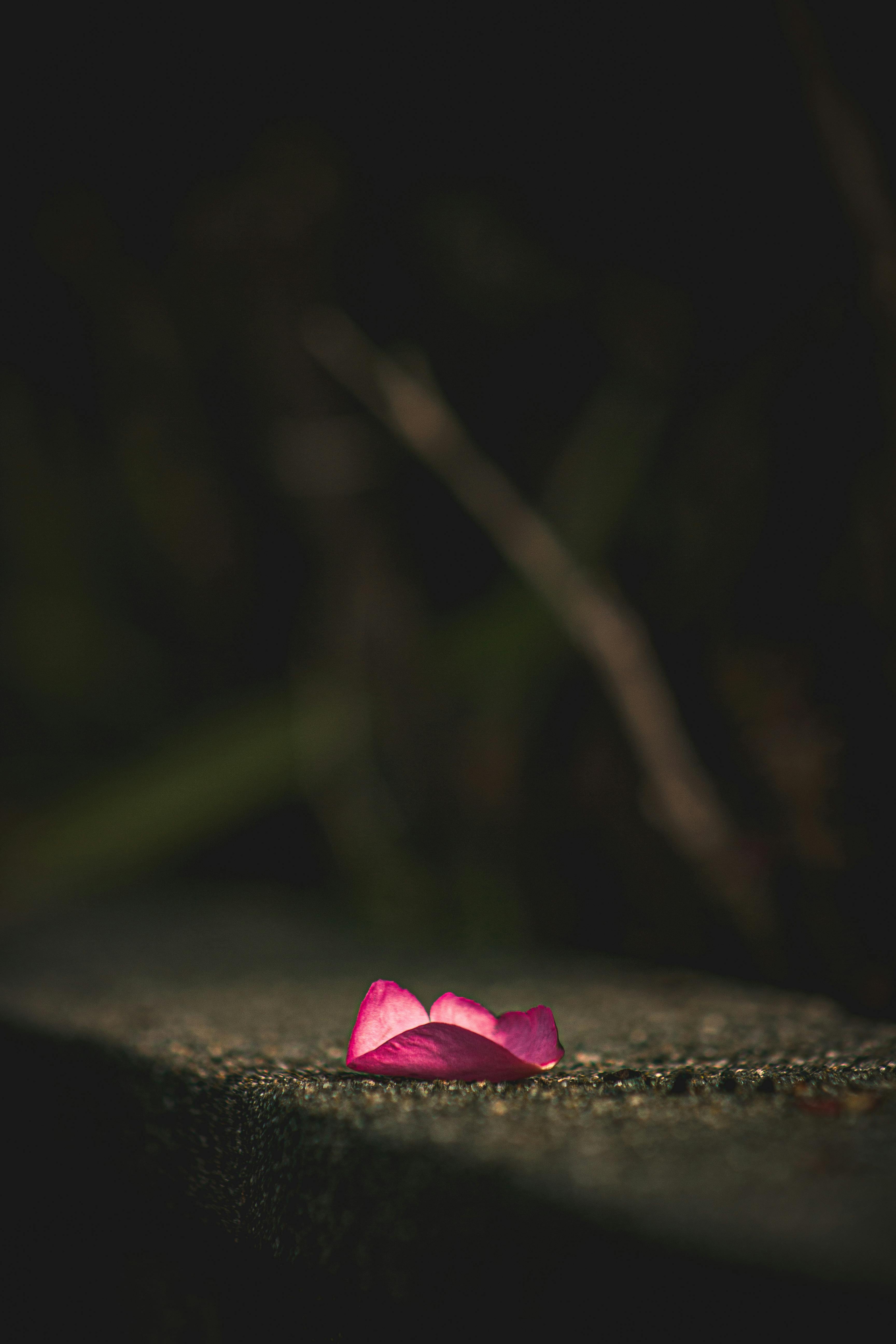 8k Videos Wallpaper Photos, Download The BEST Free 8k Videos Wallpaper ...