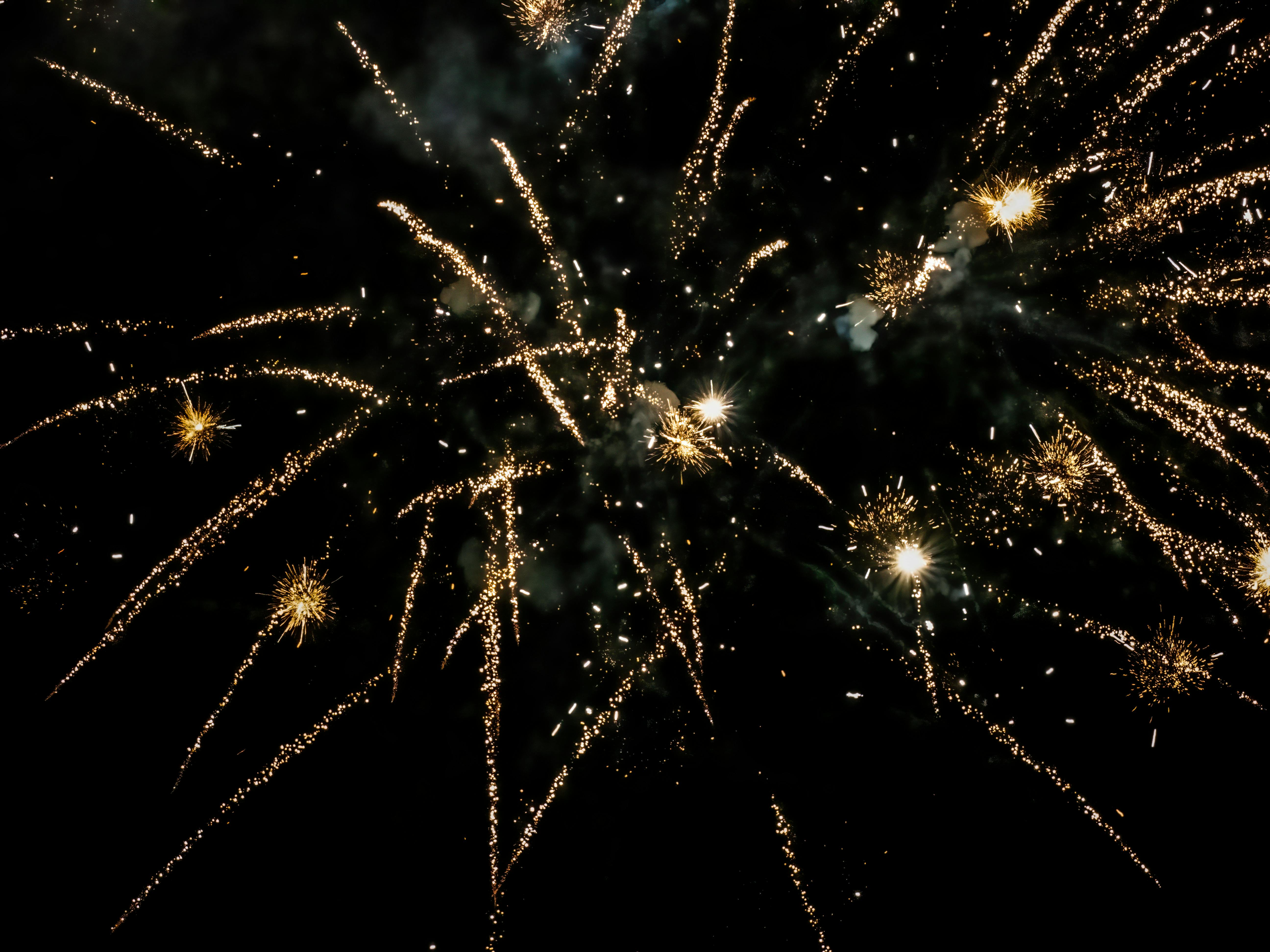 Beautiful Fireworks in Night Sky · Free Stock Photo