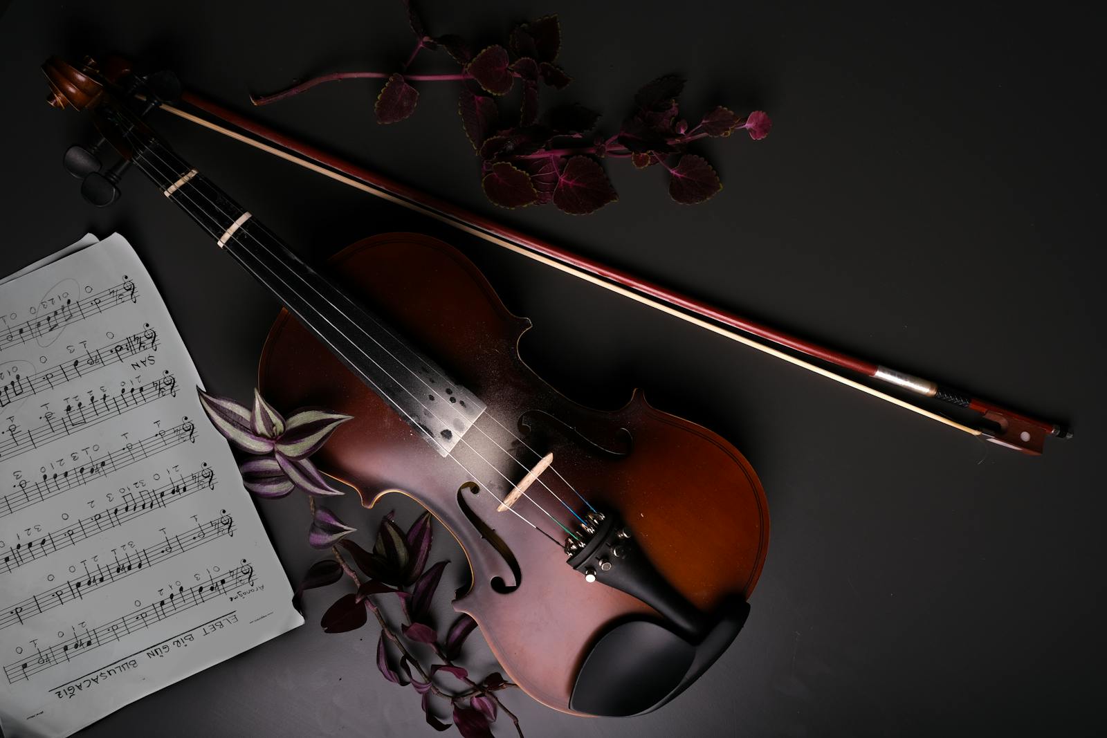 Violin Aesthetic Photos, Download The BEST Free Violin Aesthetic Stock Photos & HD Images