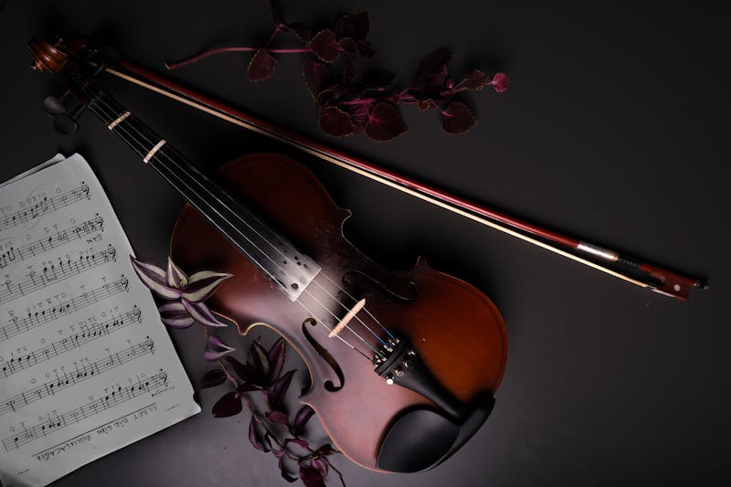 Violin Aesthetic Photos, Download The BEST Free Violin Aesthetic Stock ...