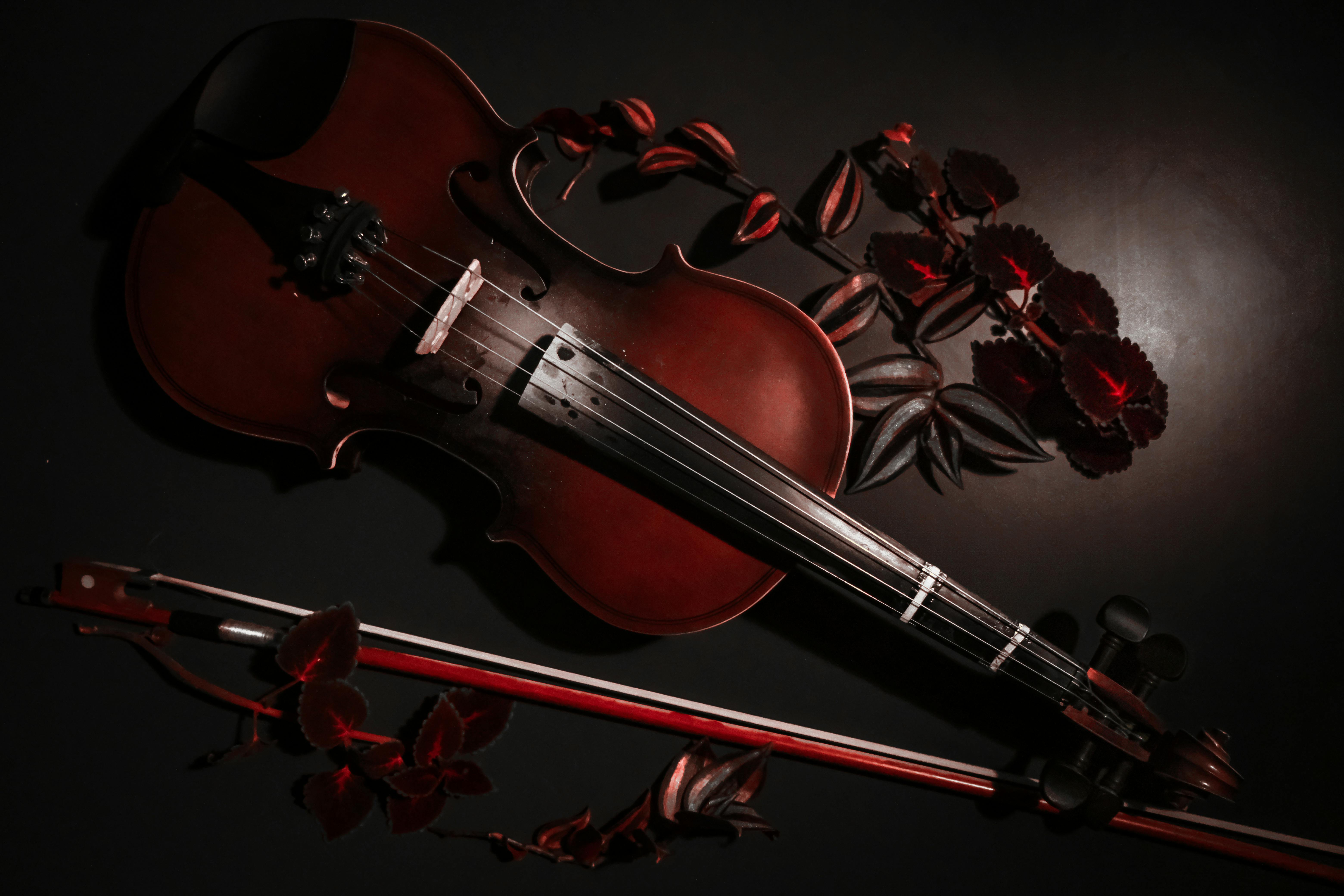 Music Violin Photos, Download The BEST Free Music Violin Stock Photos ...
