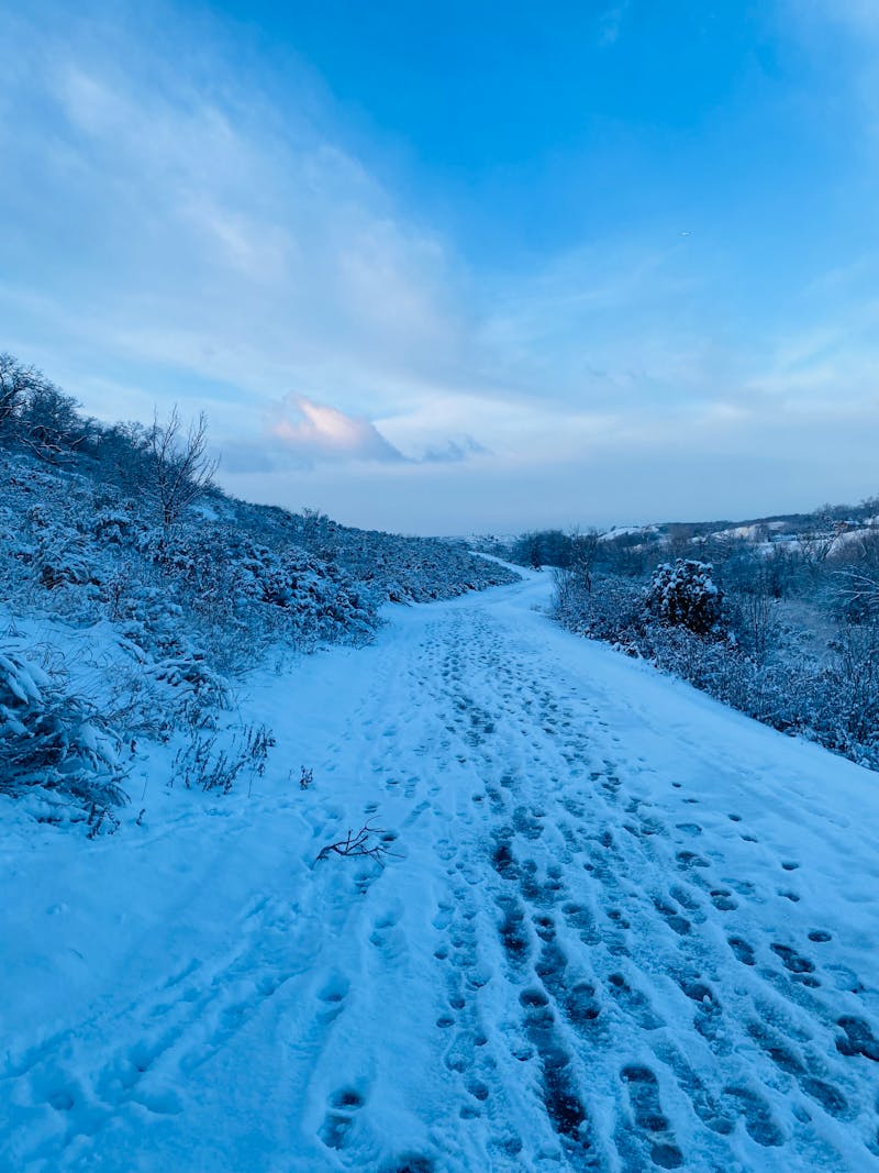 Footsteps Snow Photos, Download The BEST Free Footsteps Snow Stock ...