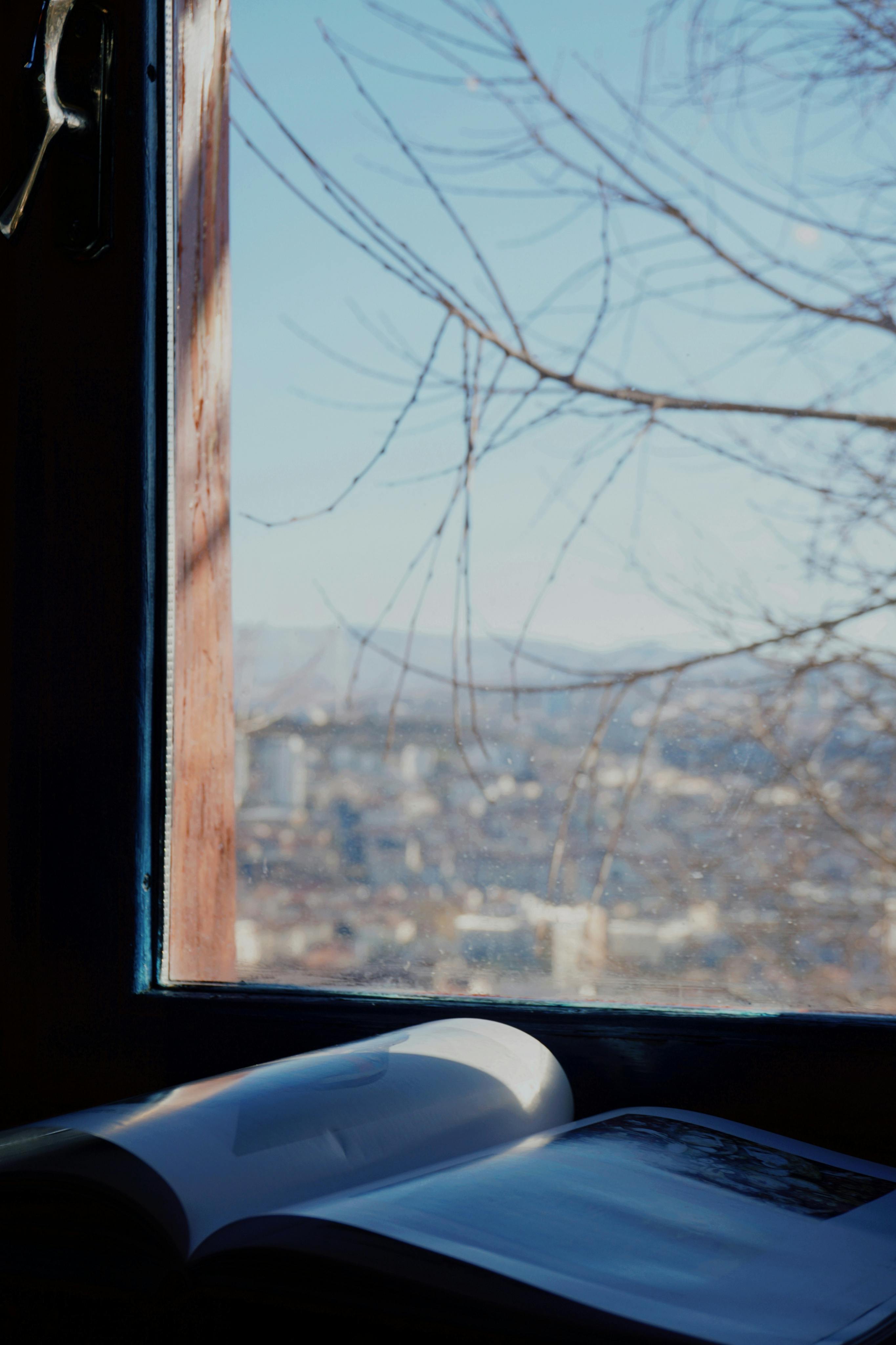 Close Up Book Photos, Download The BEST Free Close Up Book Stock Photos ...