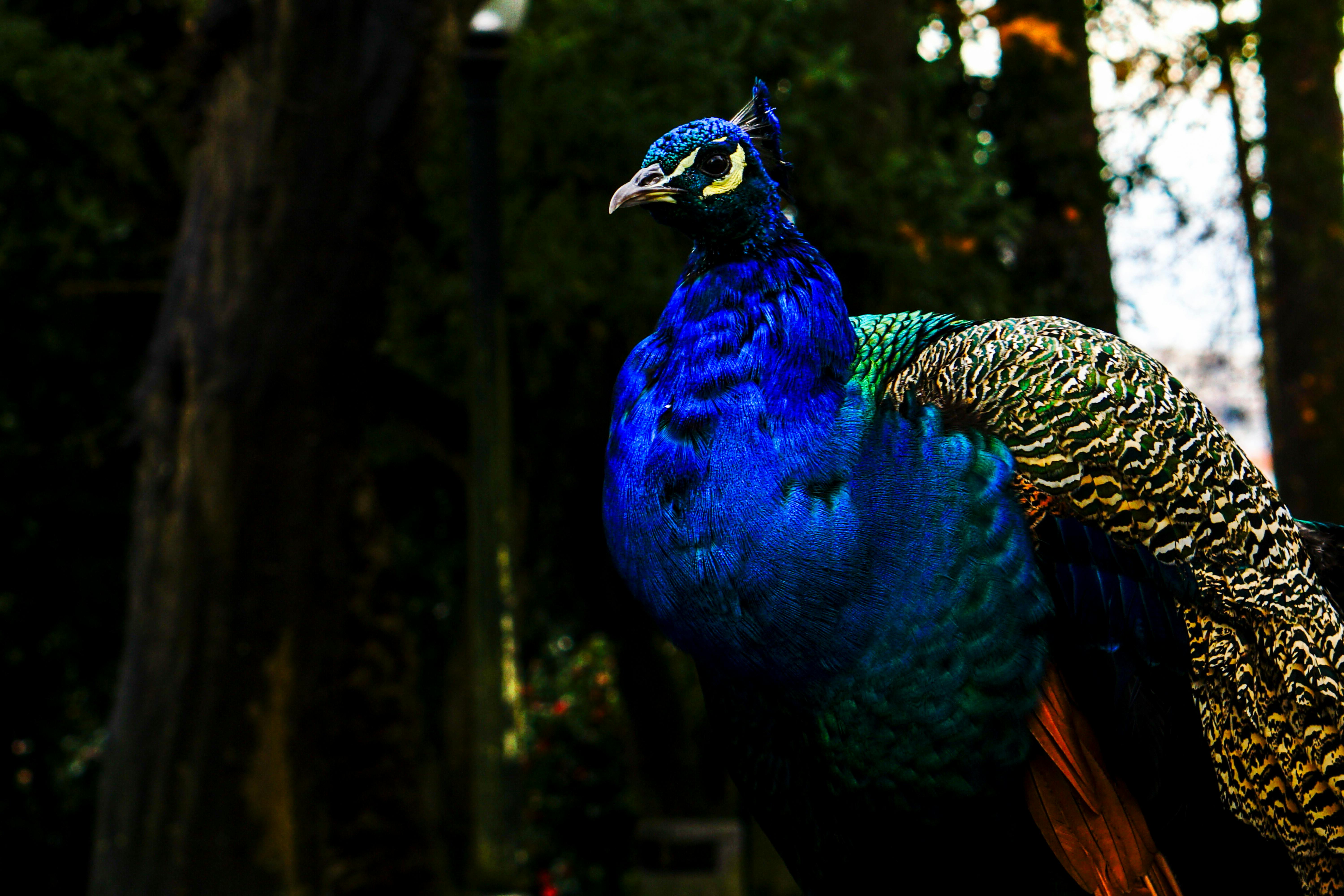 Emma Ribeiro - Photography