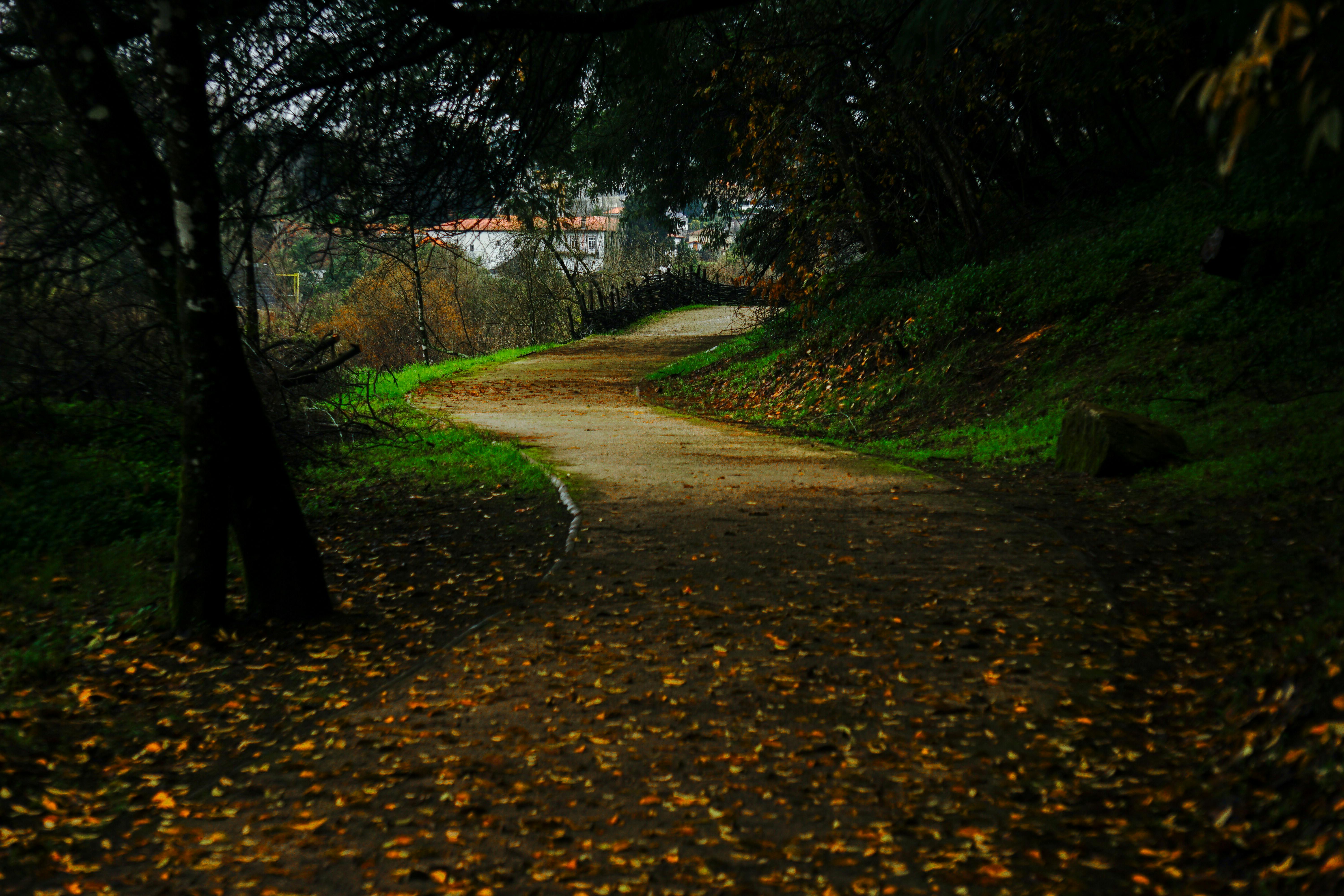 Emma Ribeiro - Photography