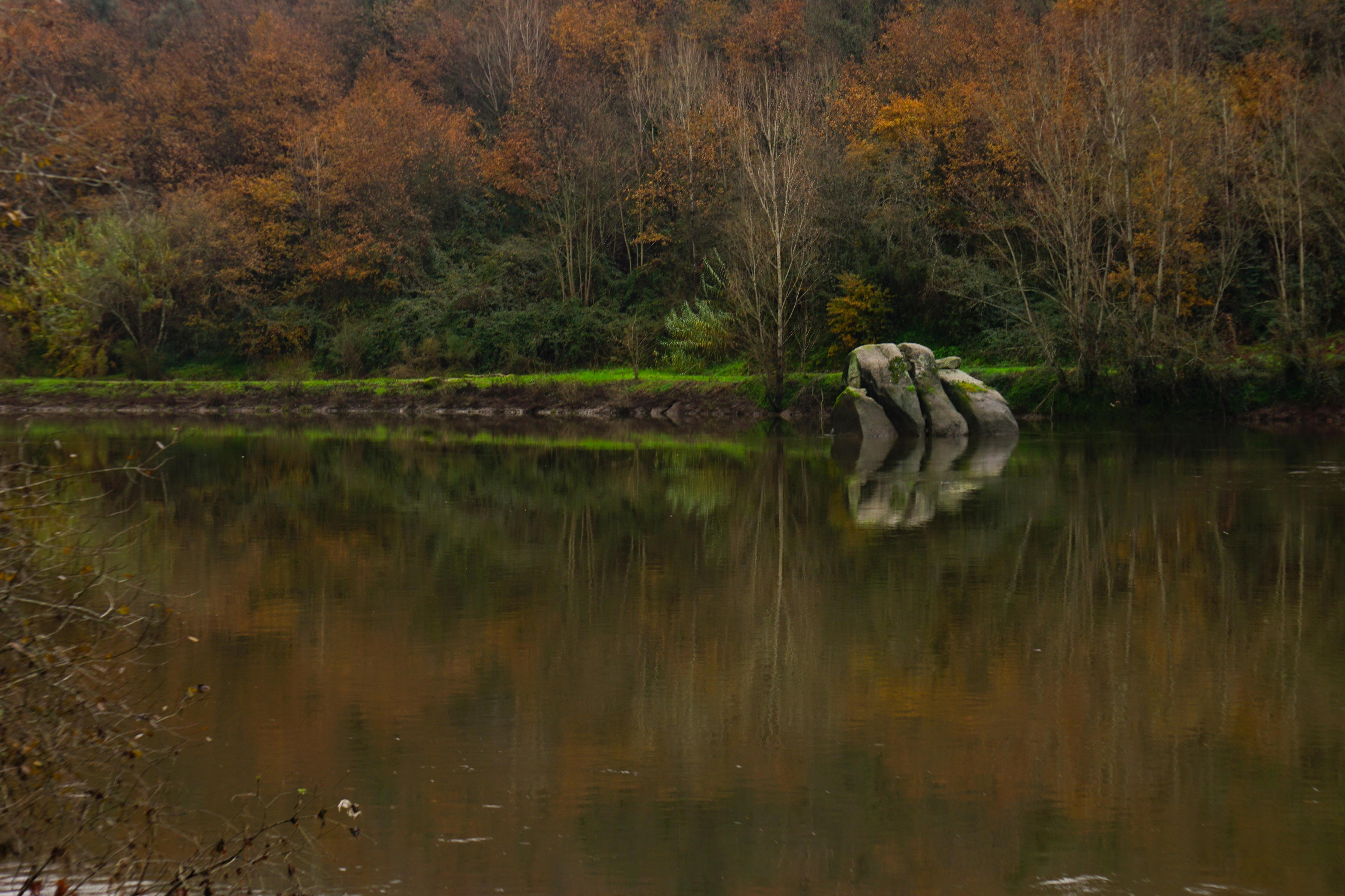 Emma Ribeiro - Fotografía