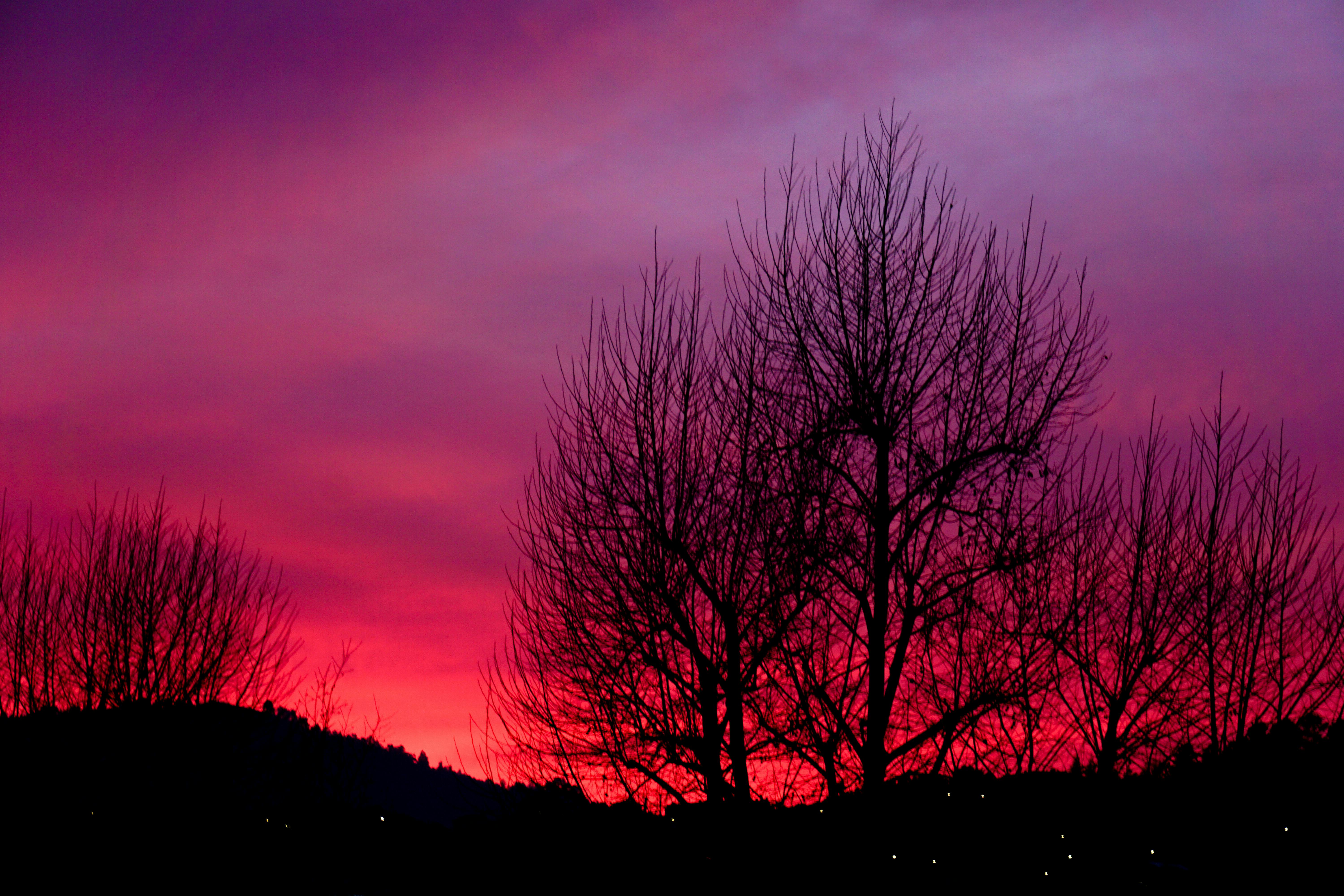 Emma Ribeiro - Fotografie