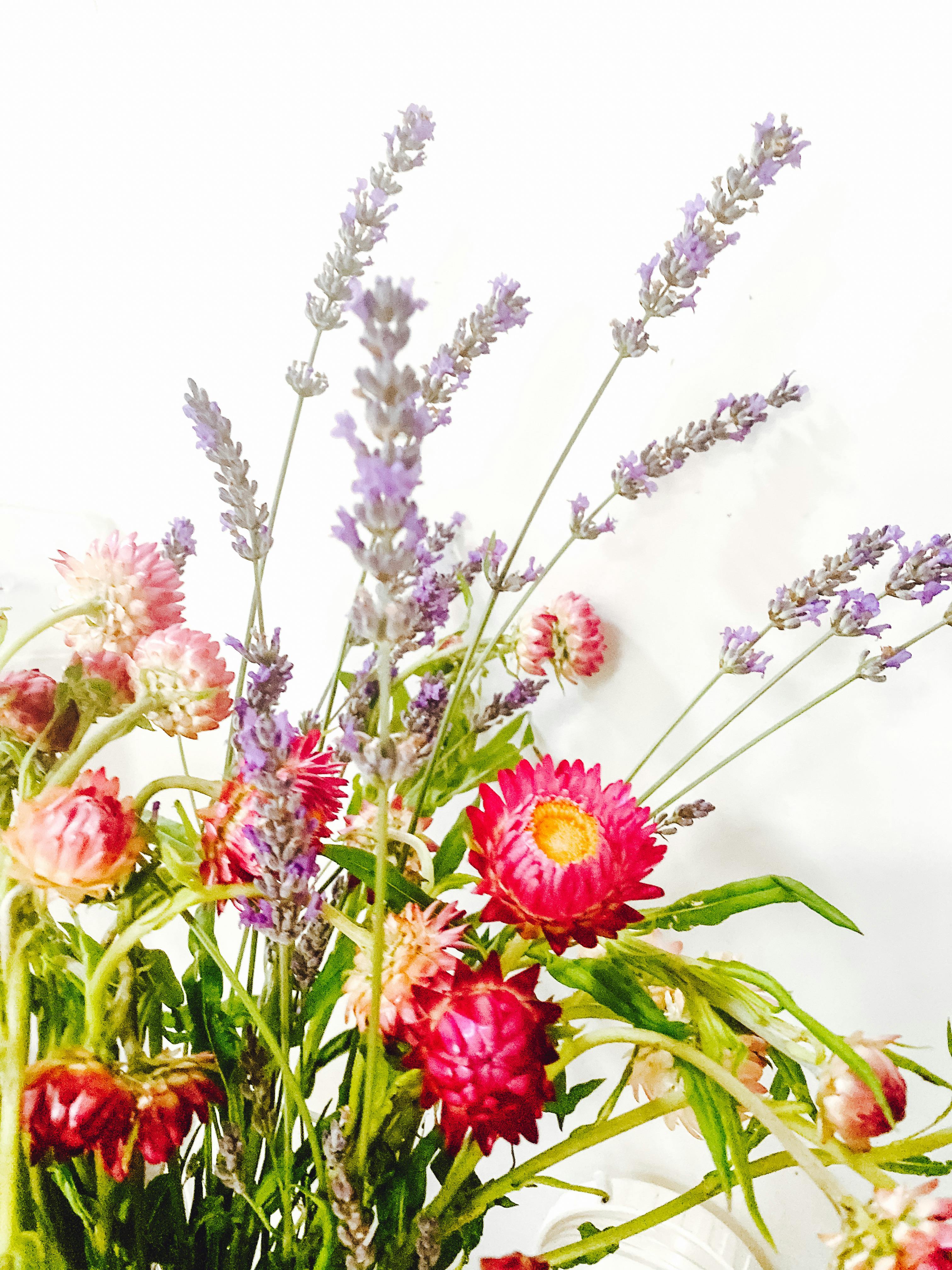 Studio Naae - Photography