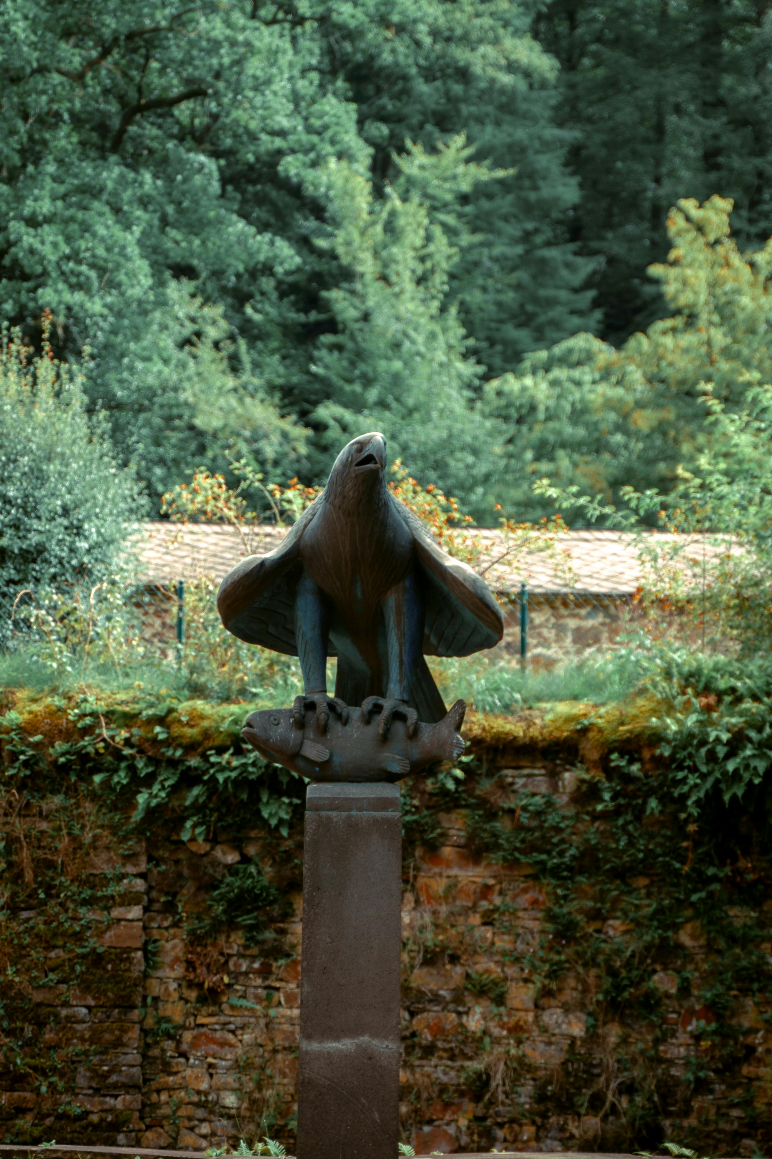 Raod Photos, Download The BEST Free Raod Stock Photos & HD Images