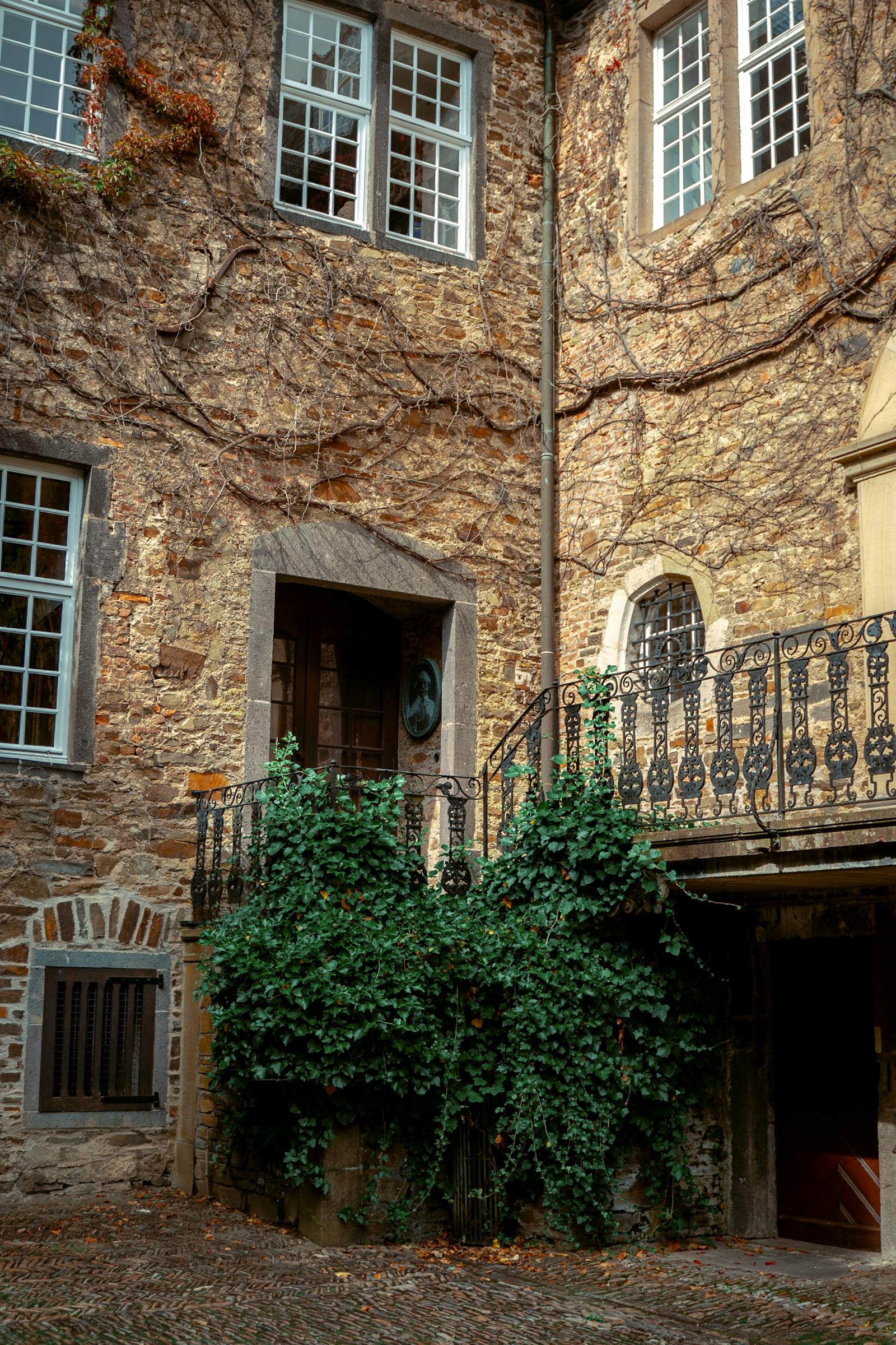 Ivy Corner Photos, Download The BEST Free Ivy Corner Stock Photos & HD ...