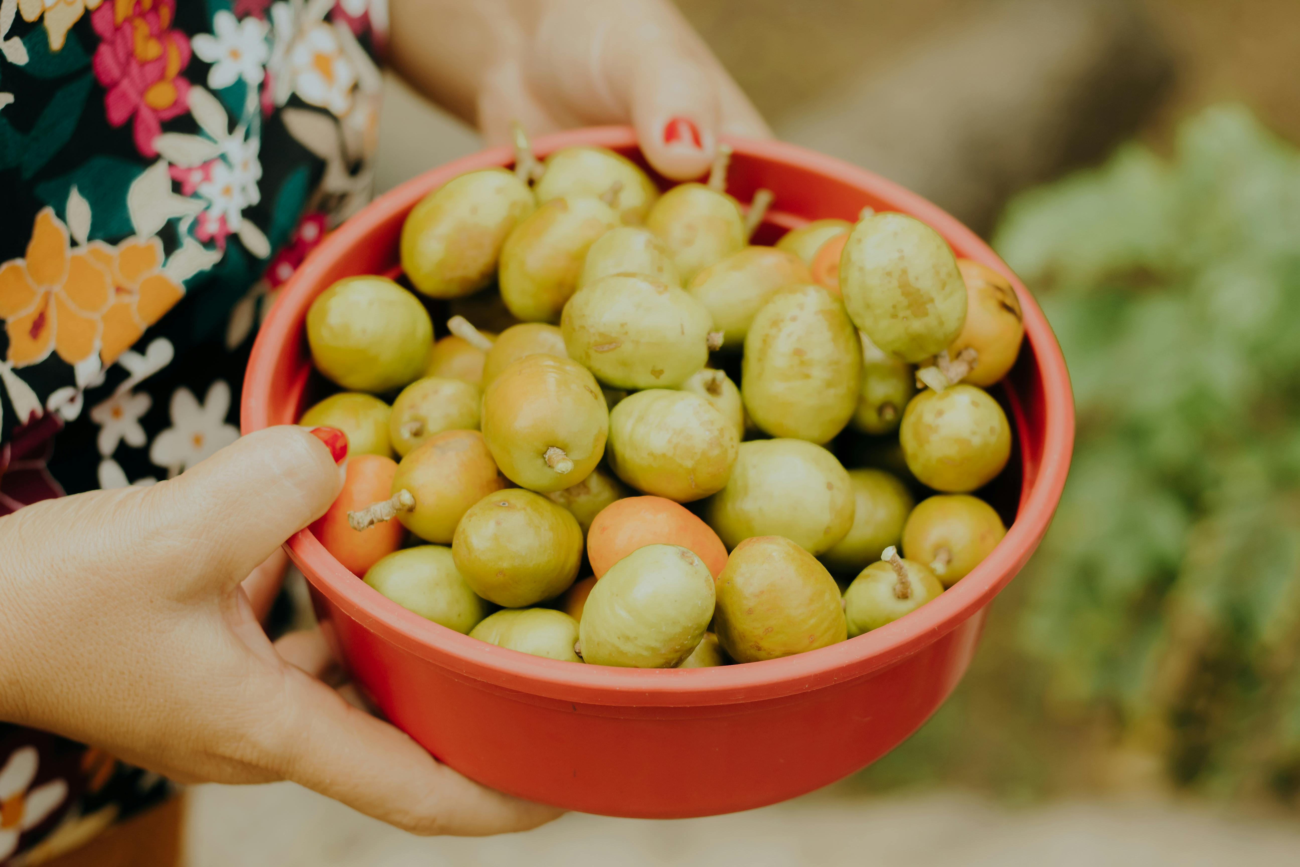 Olives Kviste Photos, Download The BEST Free Olives Kviste Stock Photos ...