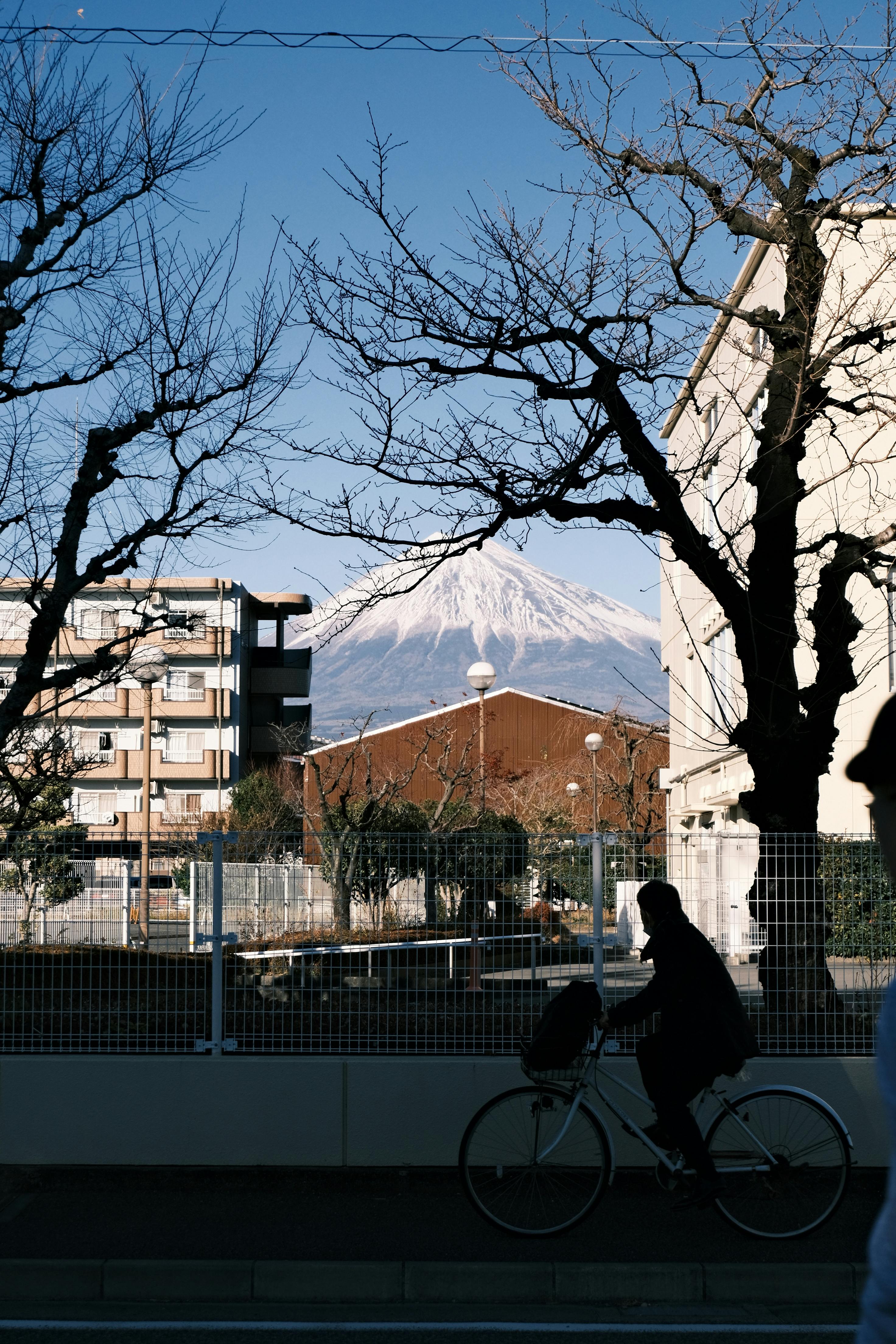 Fuji Mountain behind Store in Town · Free Stock Photo