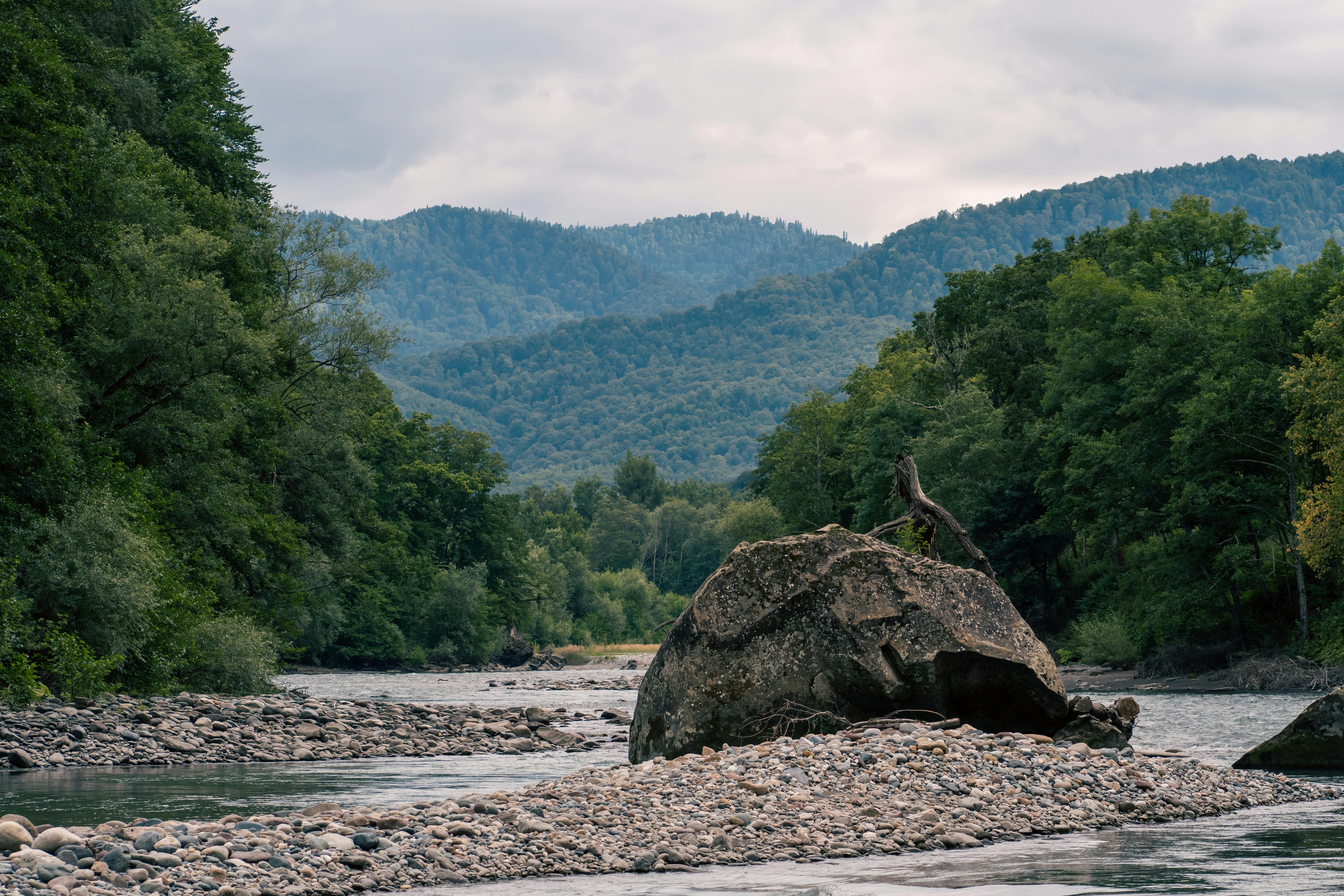 Rock over River in Forest · Free Stock Photo