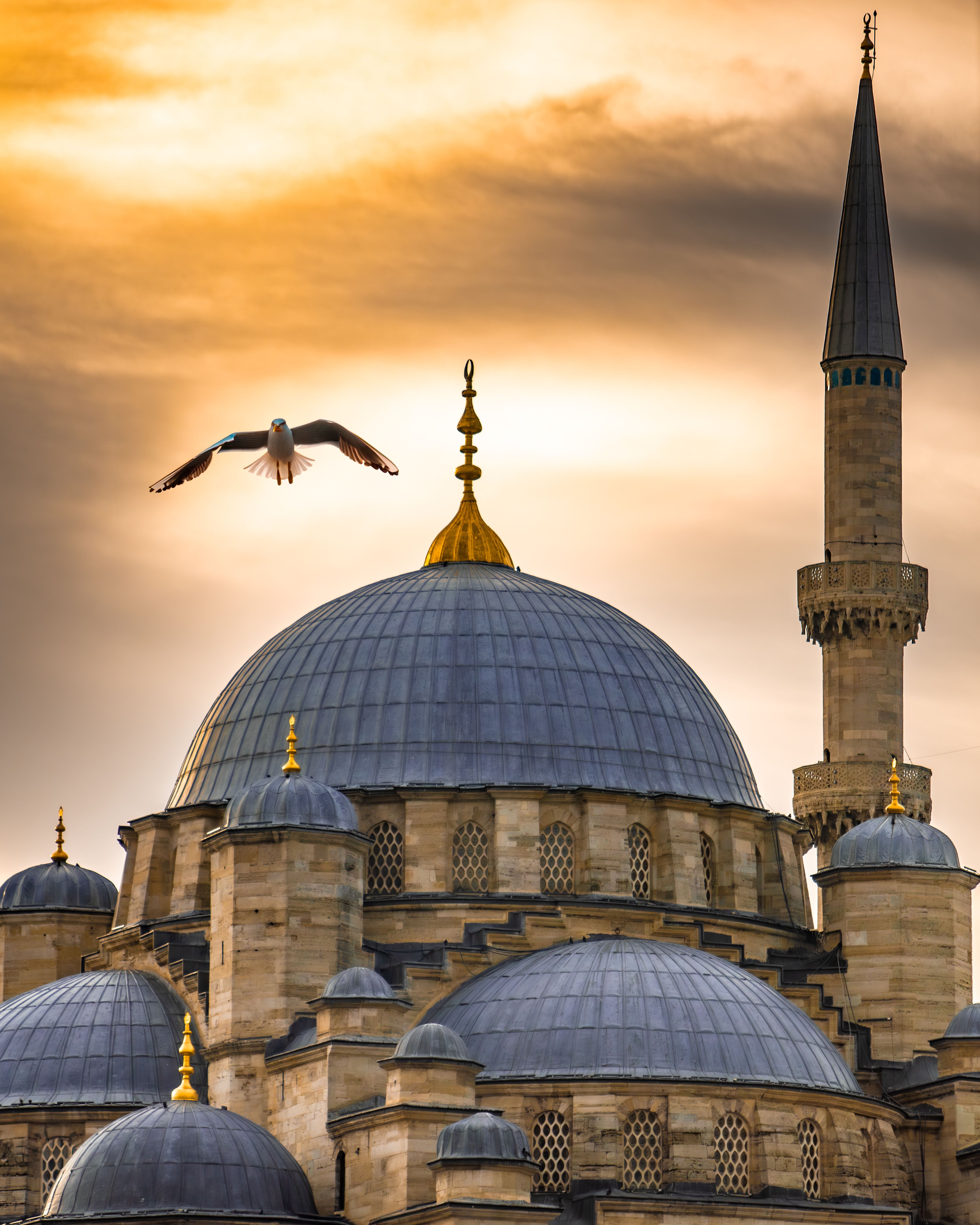 Blue Mosque in the Evening · Free Stock Photo