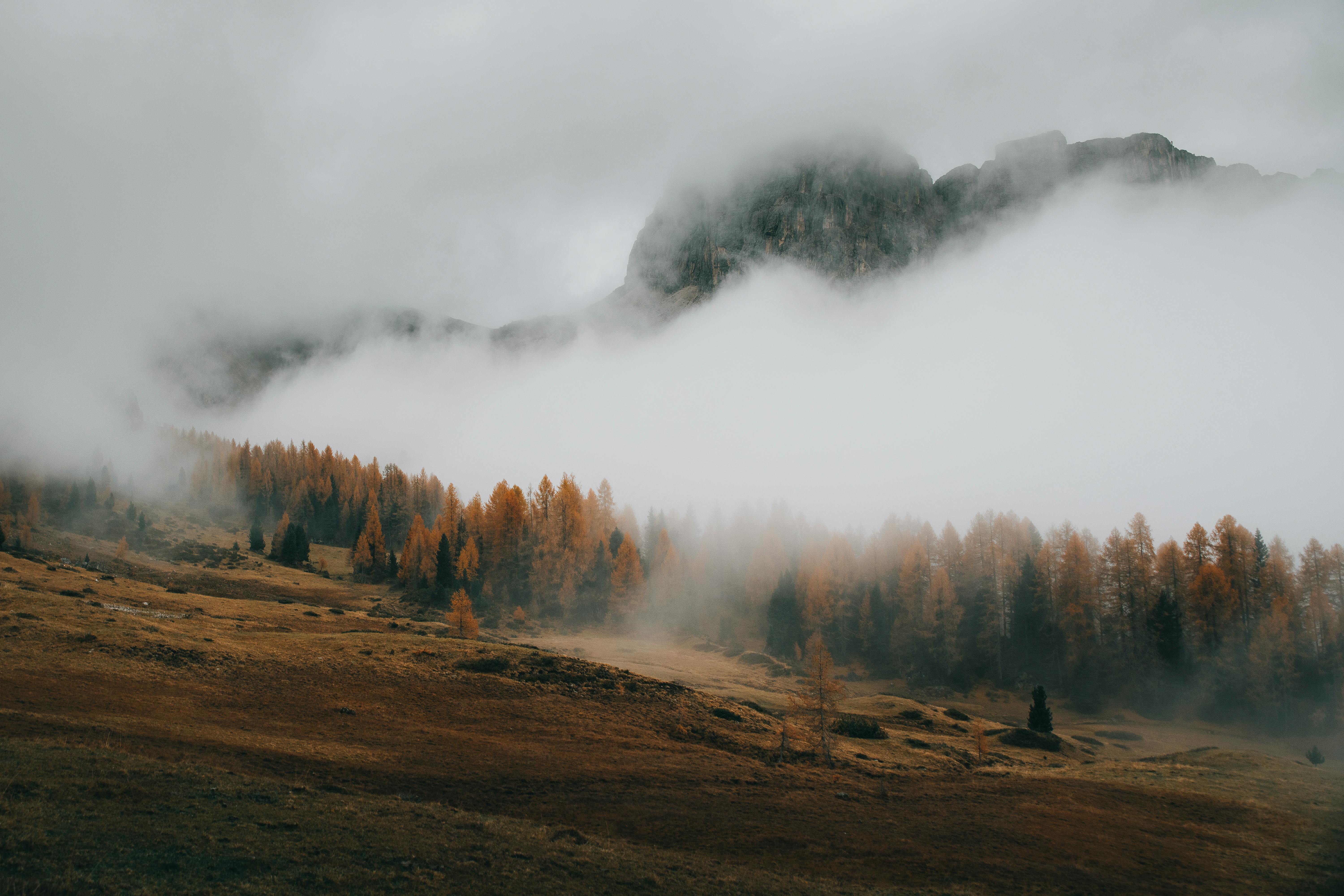 Imagine de stoc gratuită cu armonios, atmosferă, cădere, ceață, ceață ...