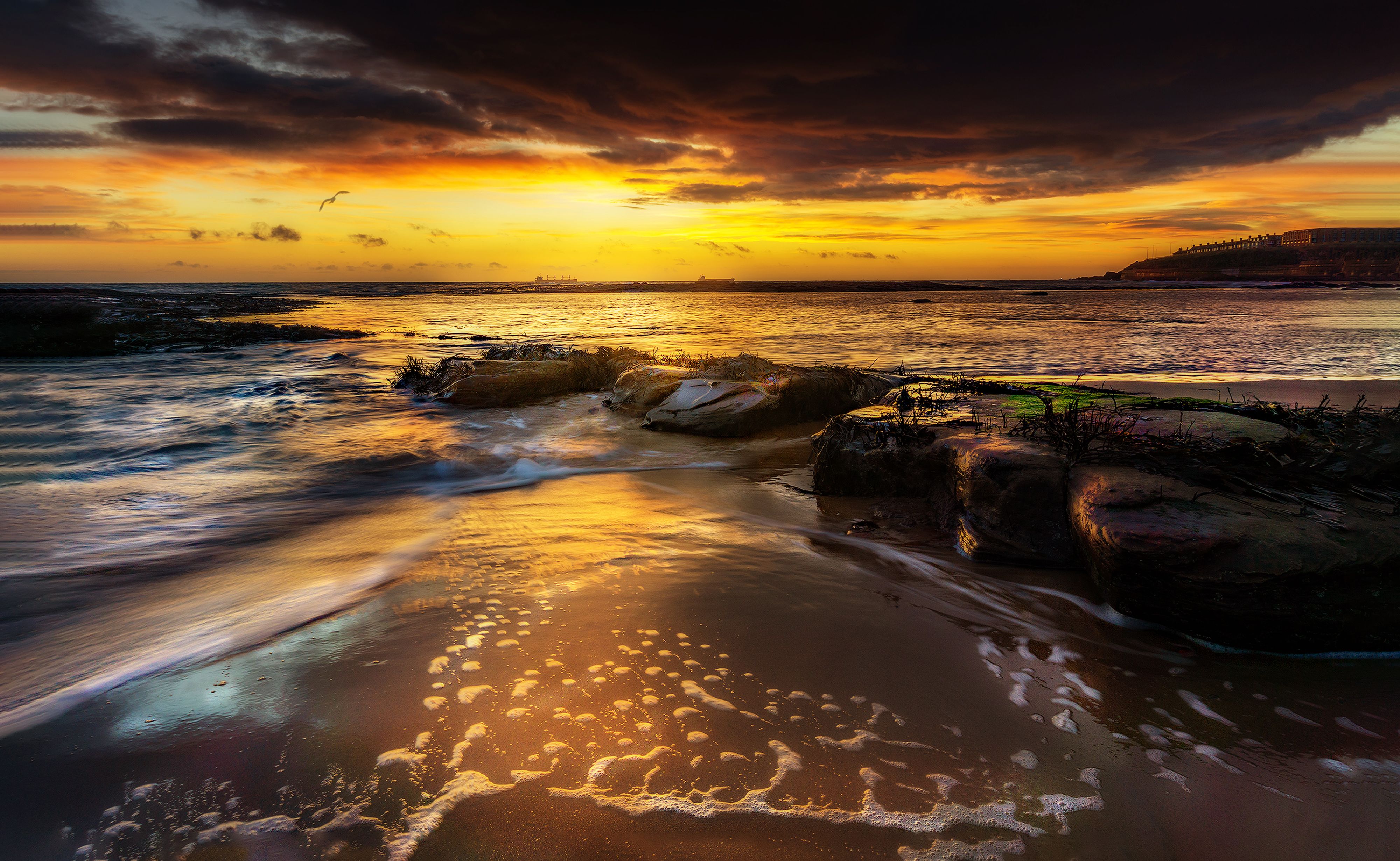 Picturesque Sunset Over the Ocean · Free Stock Photo