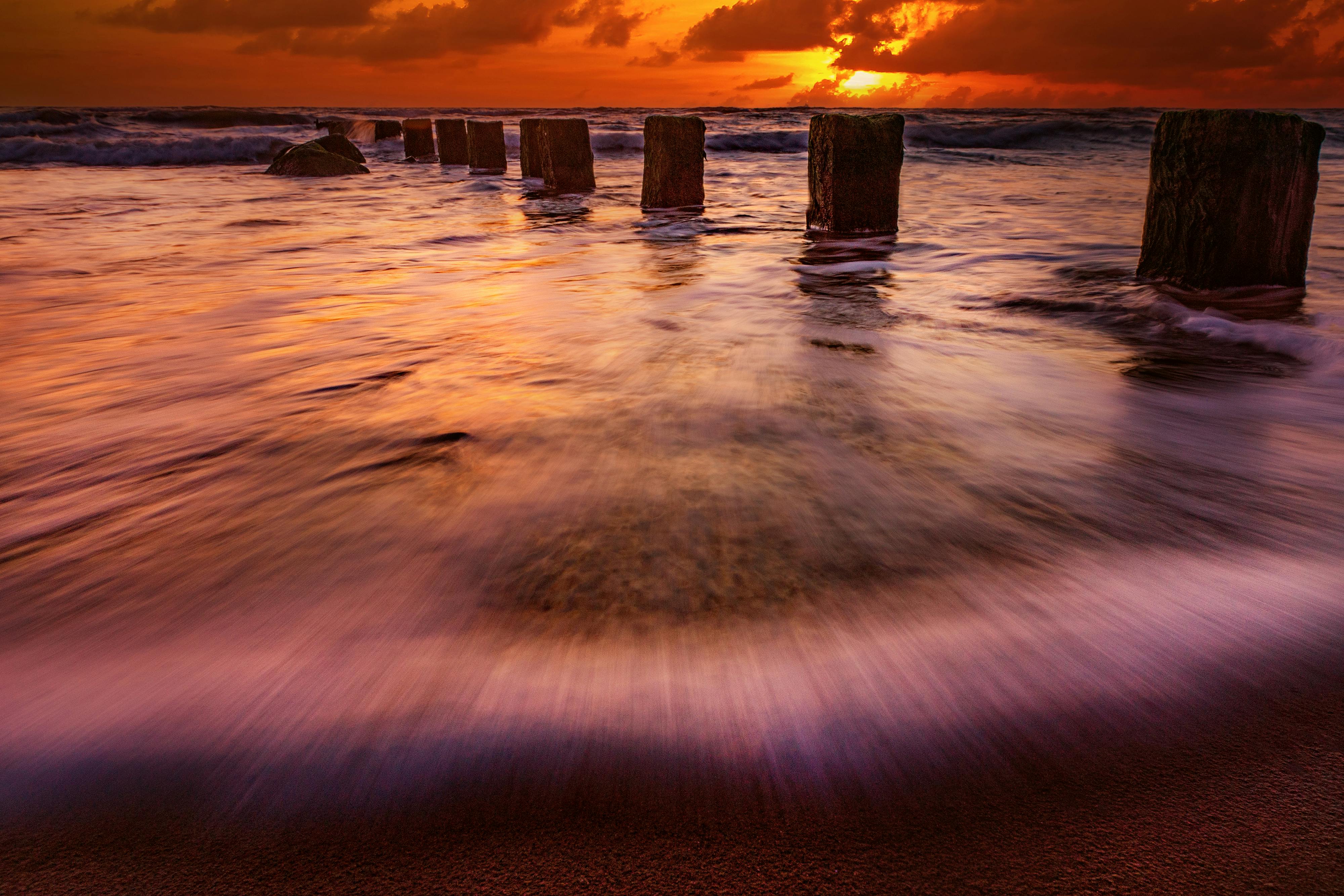 Pales Photos, Download The BEST Free Pales Stock Photos & HD Images