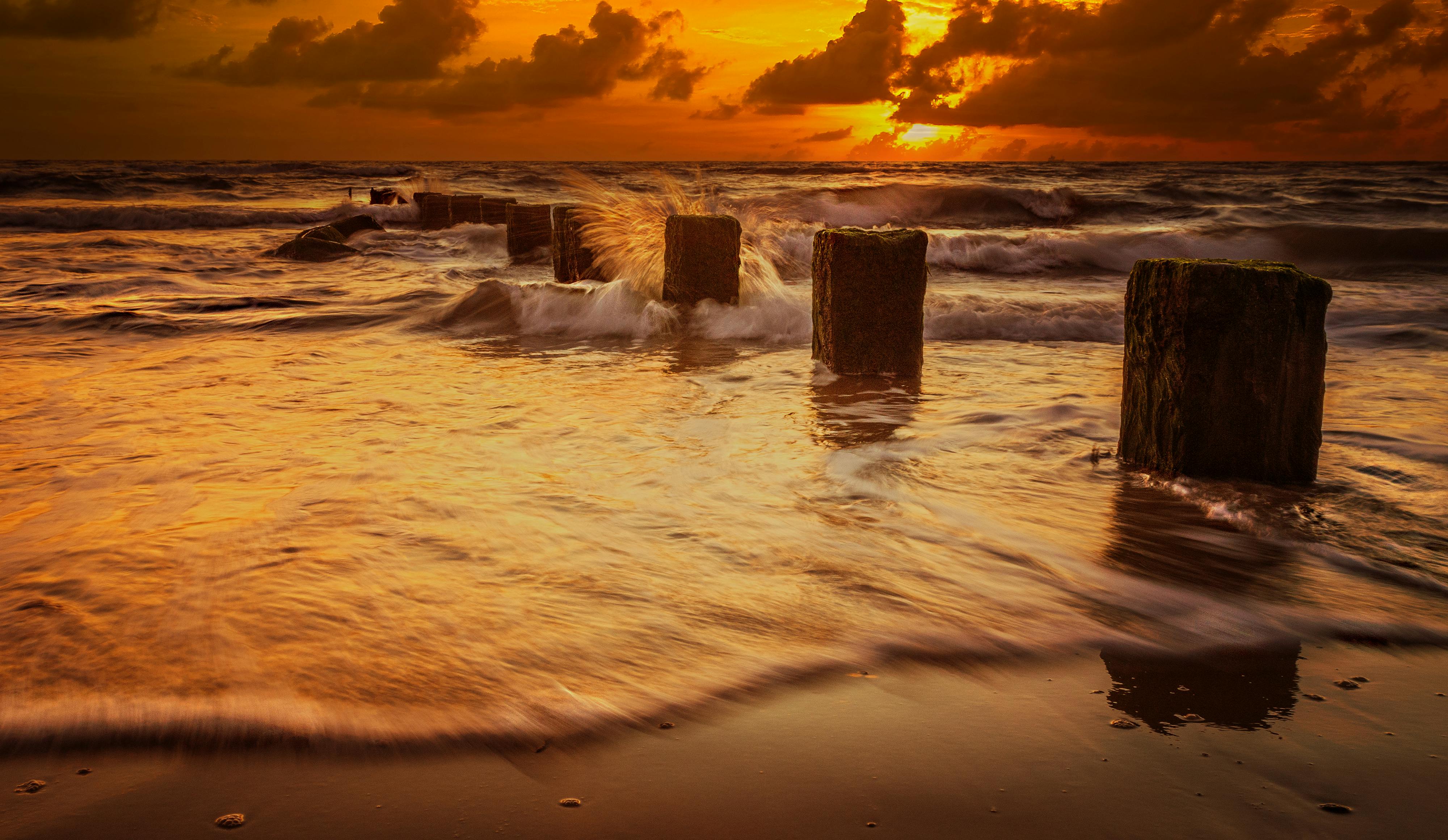 Pales Photos, Download The BEST Free Pales Stock Photos & HD Images