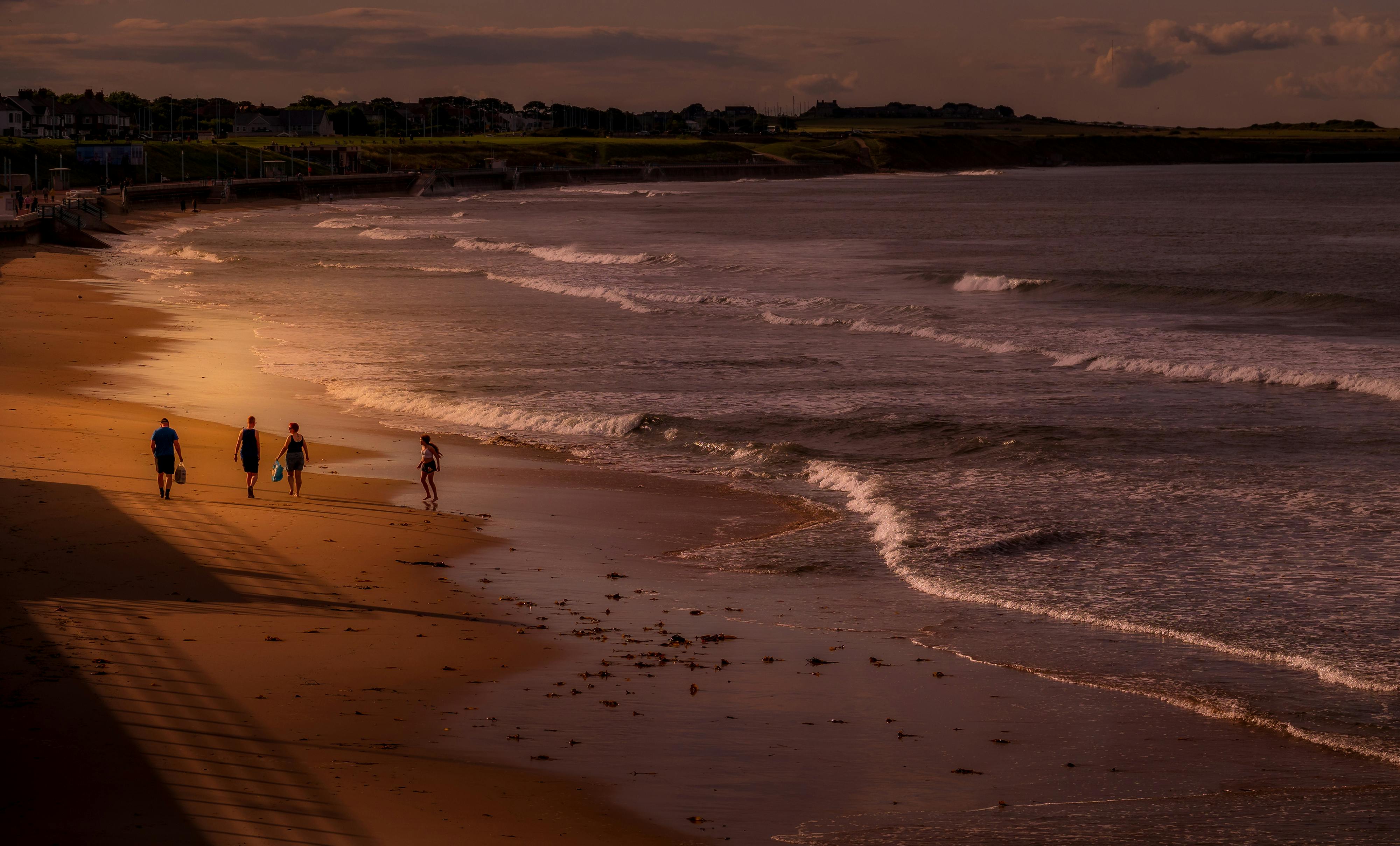 Group of Tourists on Beach at Sunset · Free Stock Photo