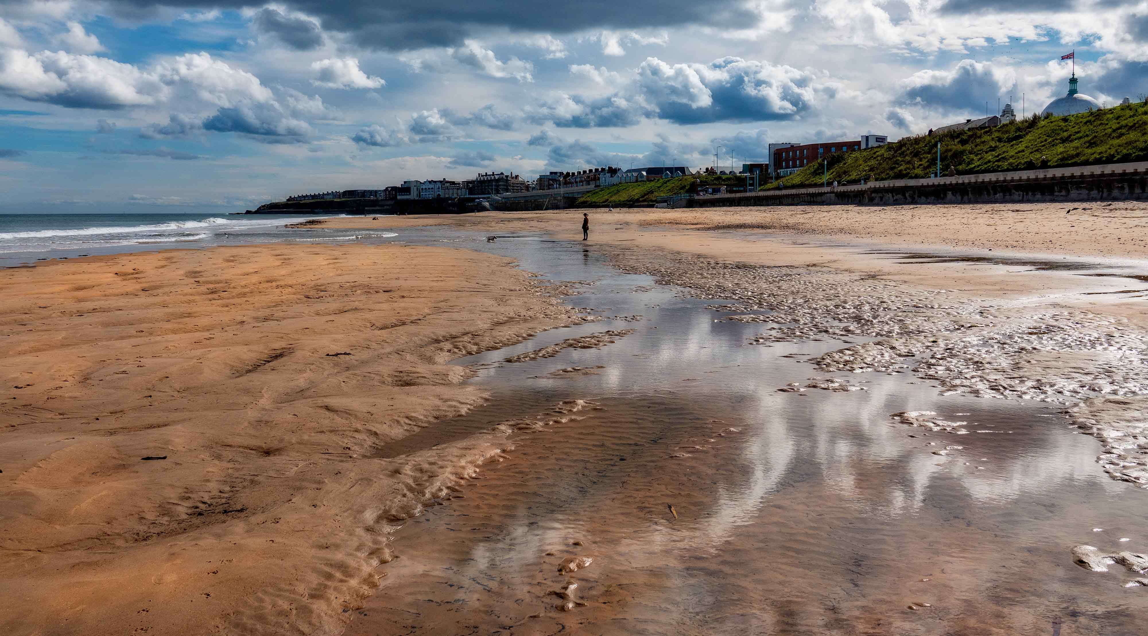 Wet Sand on Beach by Ocean · Free Stock Photo