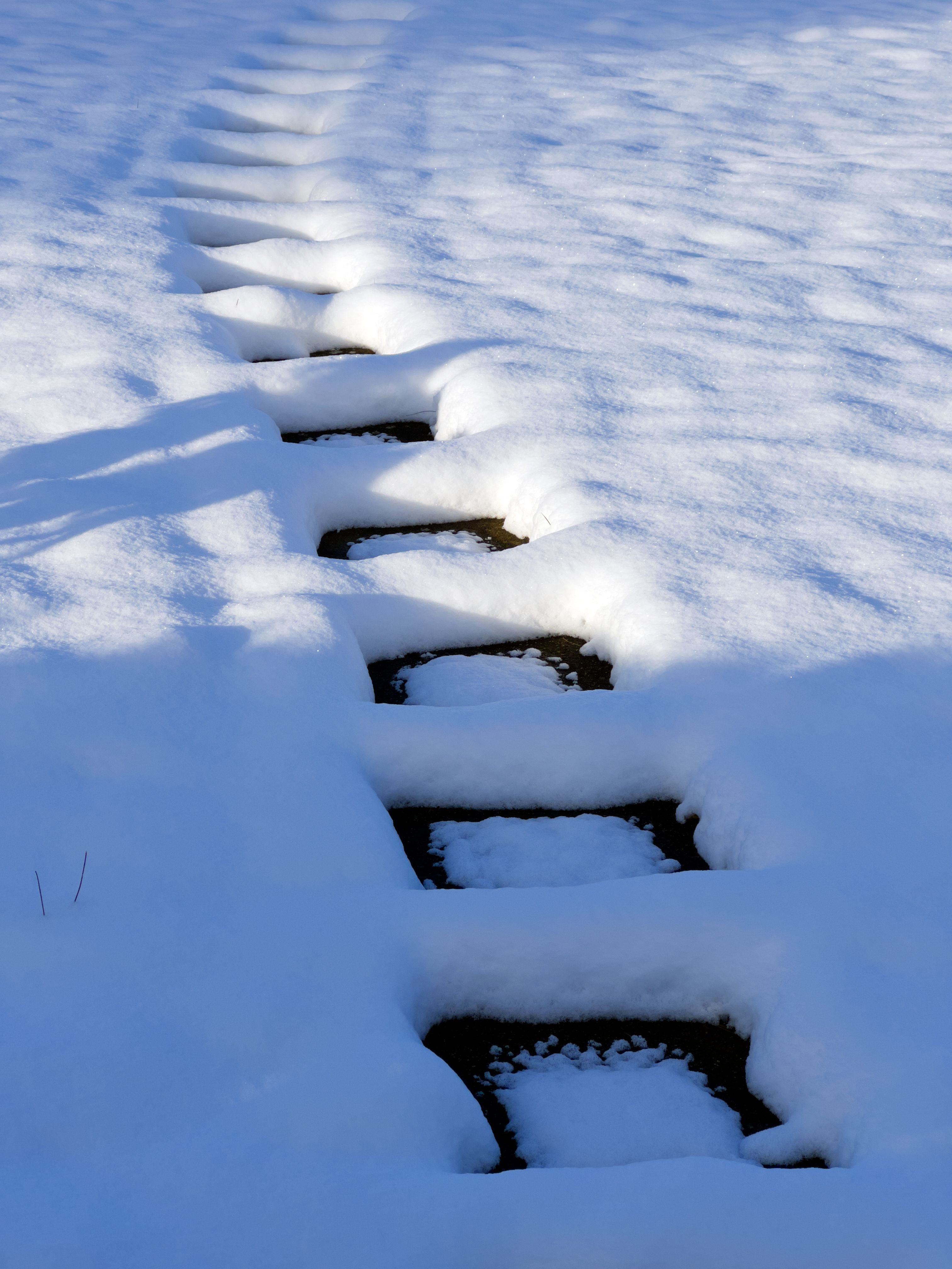 Snow Footsteps Photos, Download The BEST Free Snow Footsteps Stock ...