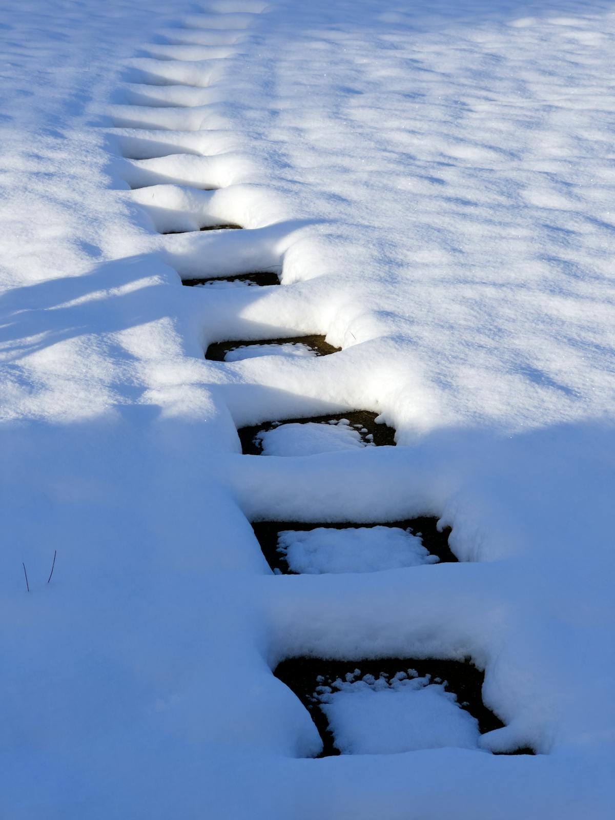 Plots Photos, Download The BEST Free Plots Stock Photos & HD Images