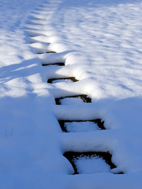 Plots Photos, Download The BEST Free Plots Stock Photos & HD Images