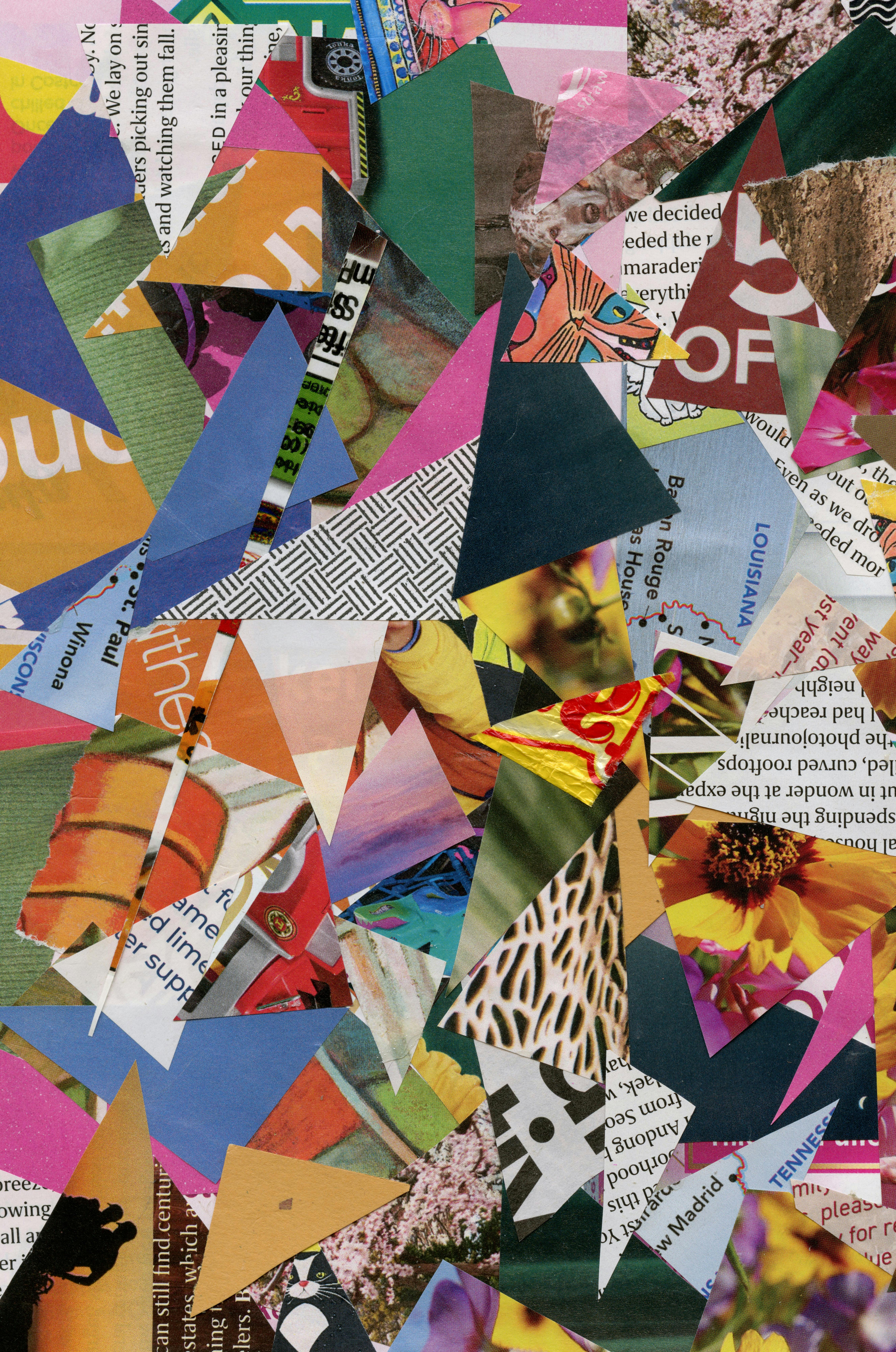 Magazine Collage · Free Stock Photo