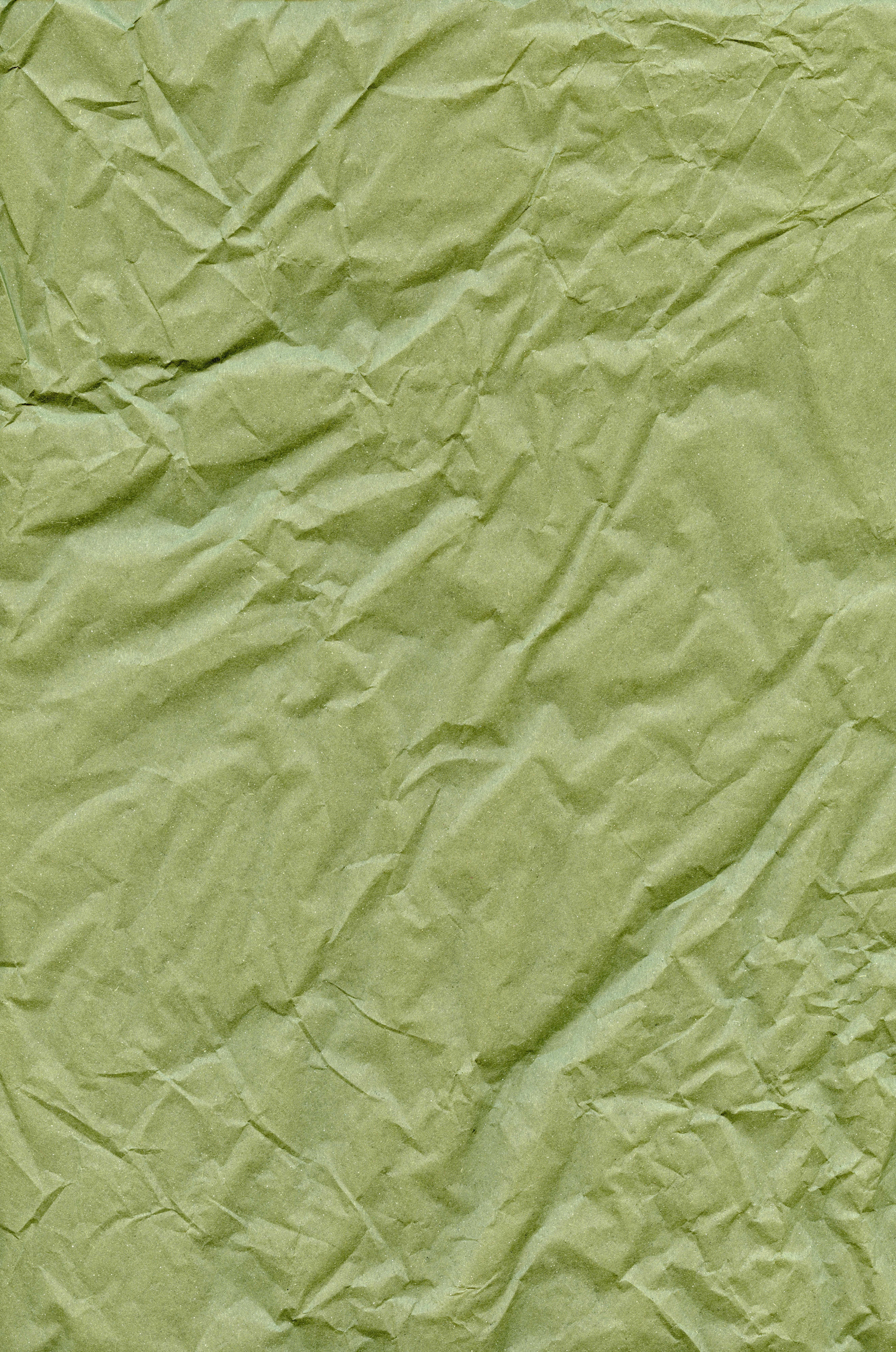 Green Tissue Paper · Free Stock Photo