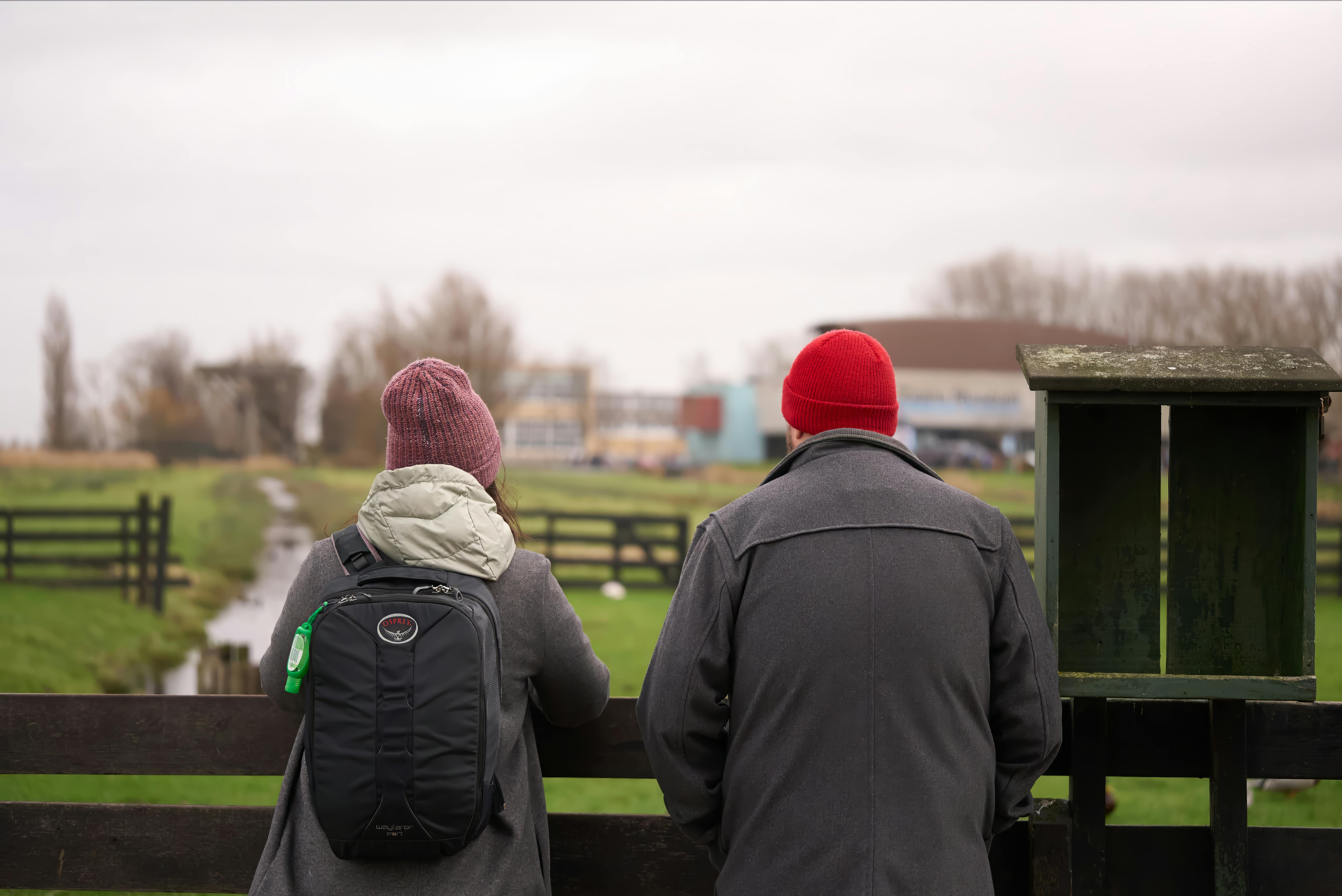 Looking Over Neighbors Fence Photos, Download The BEST Free Looking ...