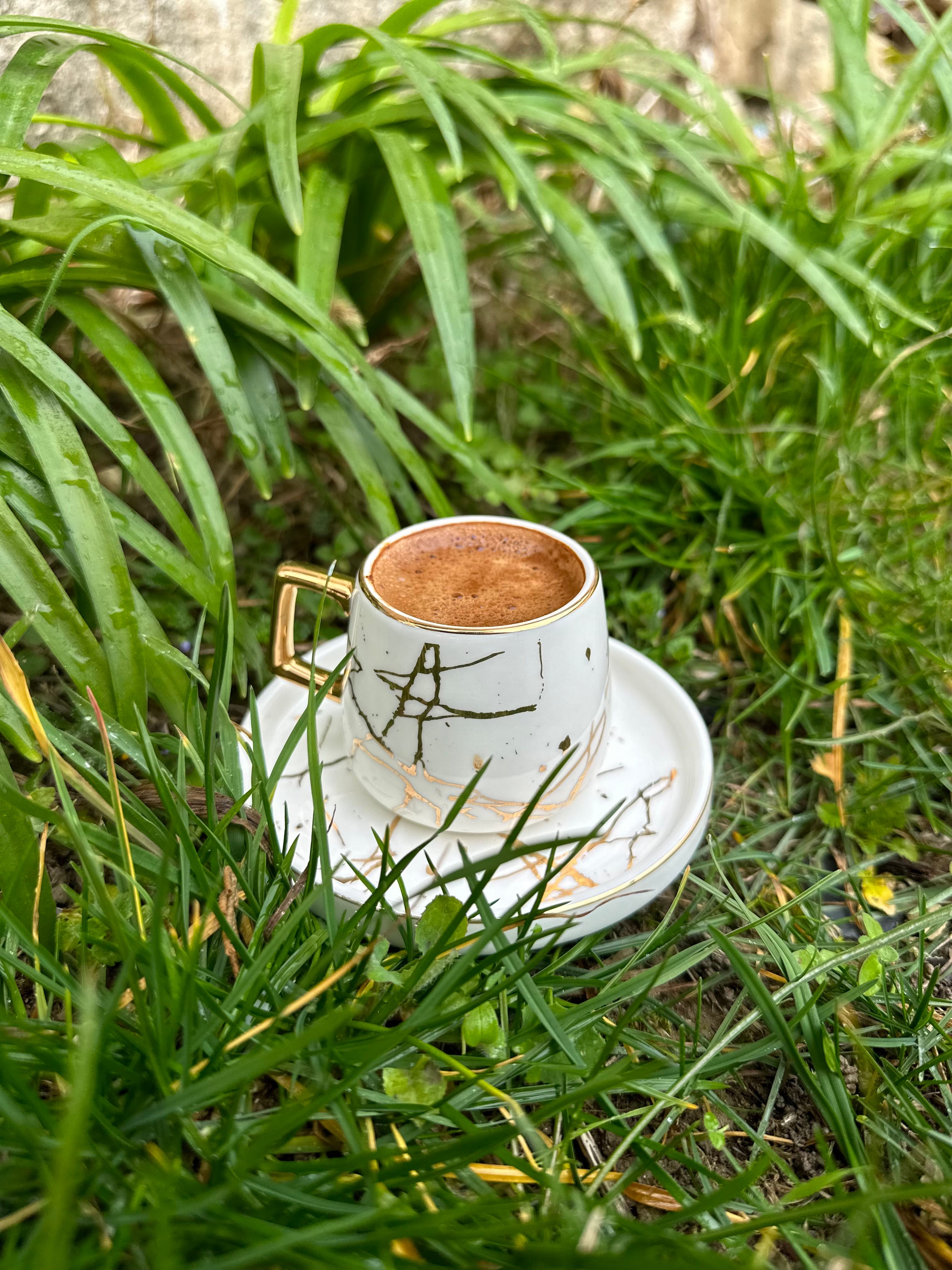 Cup of Coffee in Grass · Free Stock Photo