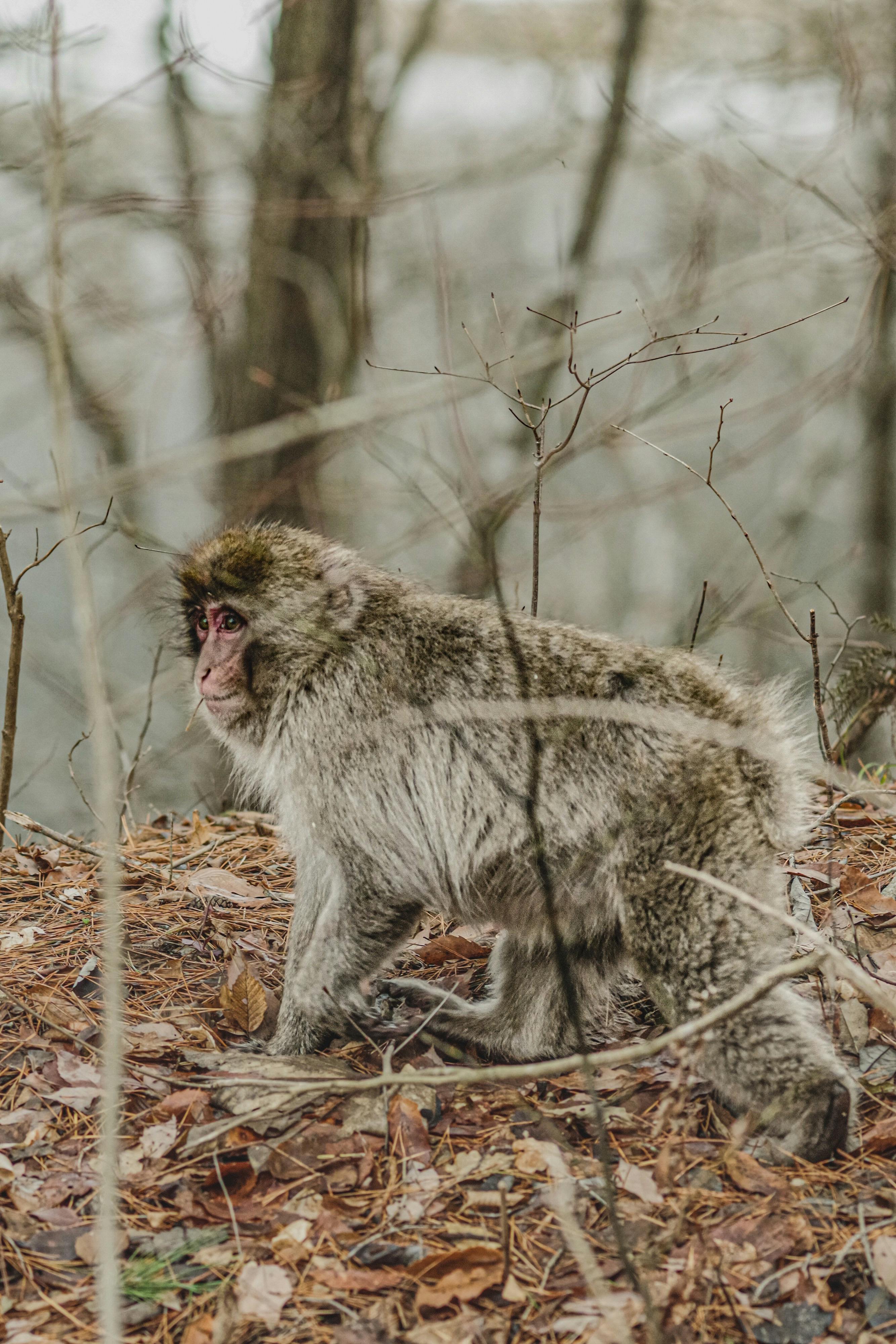 Takuya Sakamoto - Photography