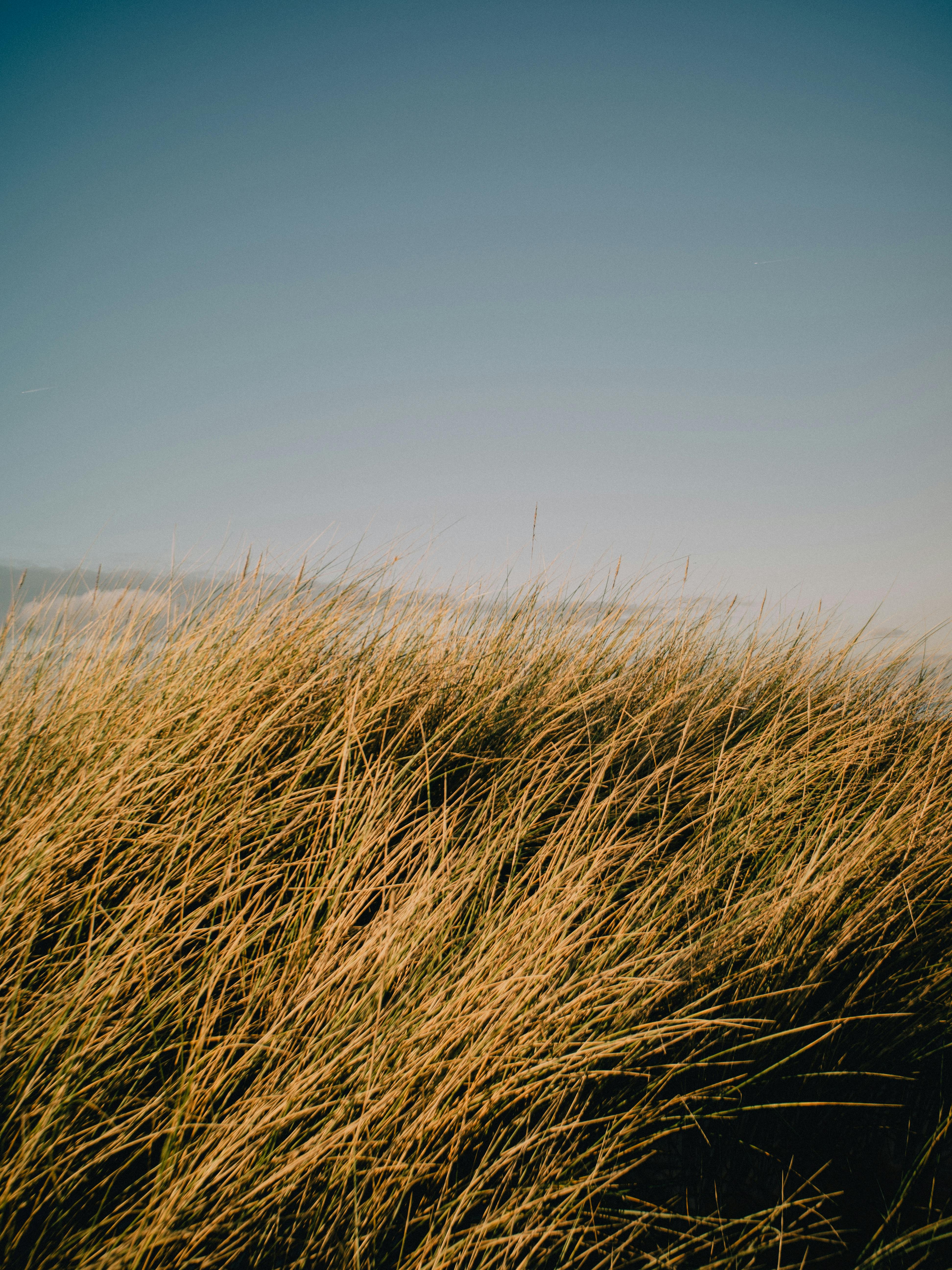 Sky High Shots Photos, Download The BEST Free Sky High Shots Stock ...