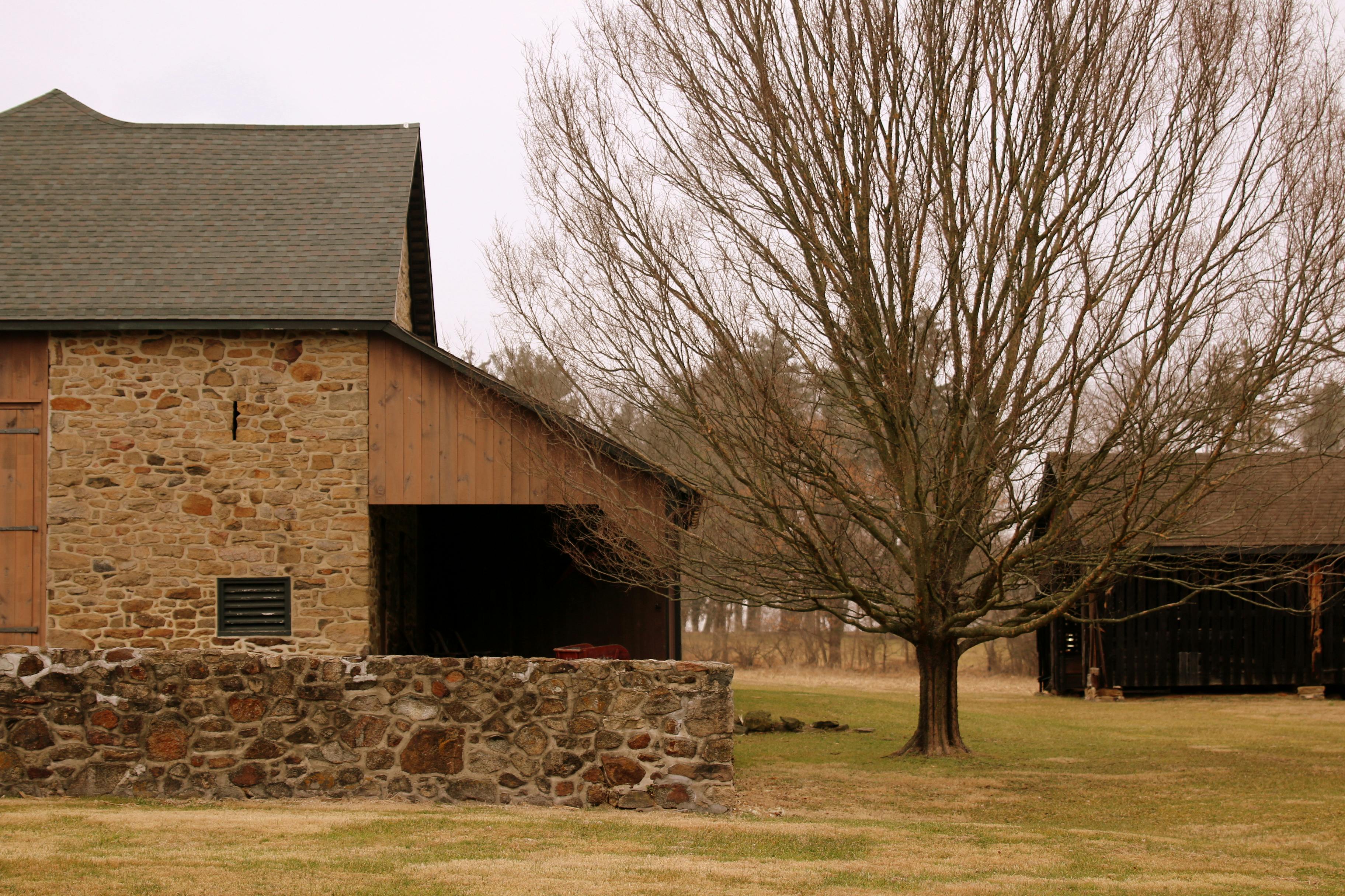 Empty Tree in Front of a Hut · Free Stock Photo