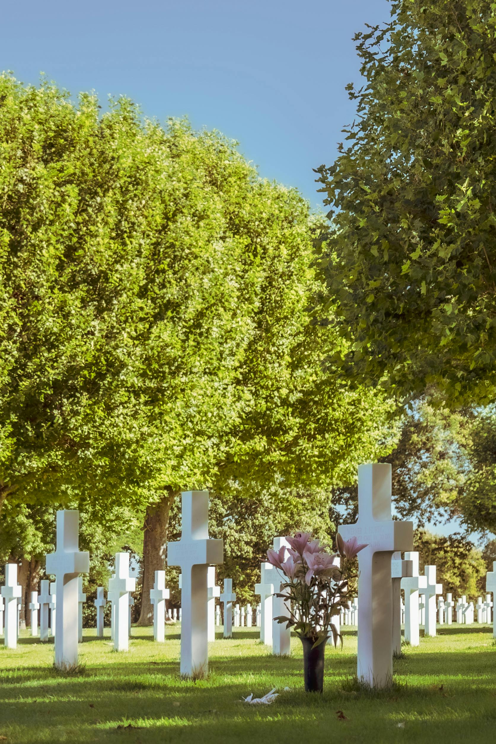 A Lawn Graveyard · Free Stock Photo