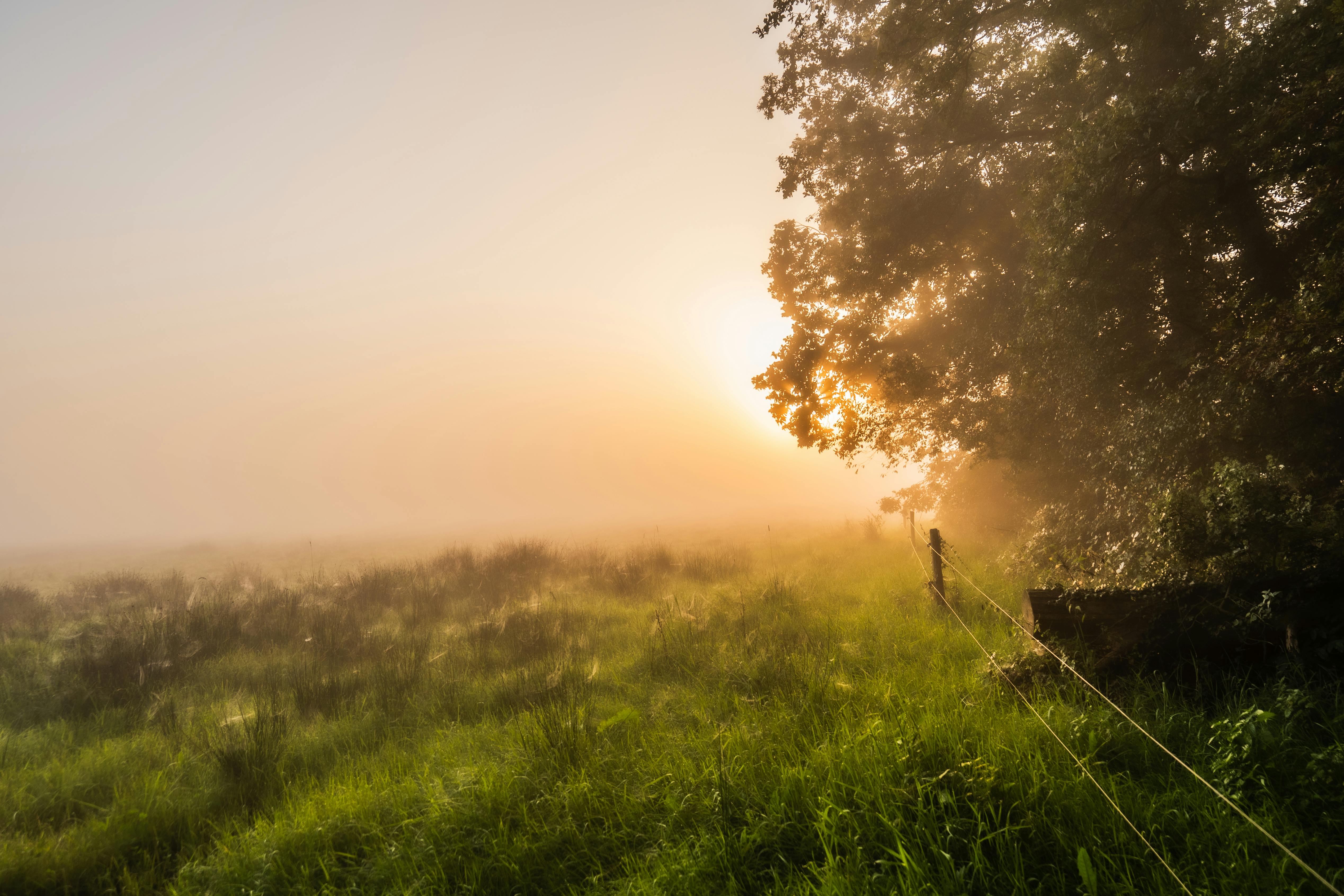 A Sunset Landscape · Free Stock Photo
