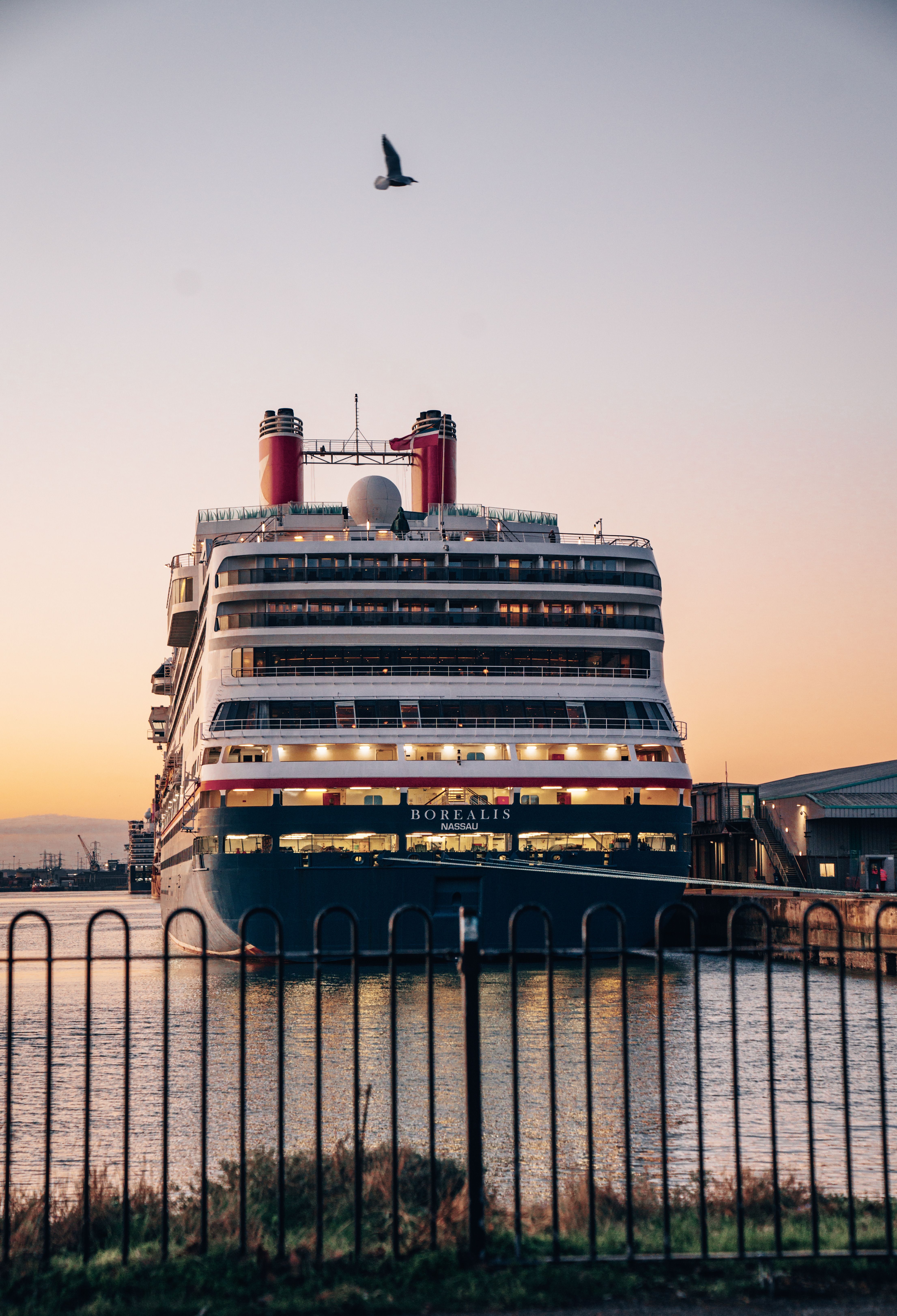 Ferry in a Harbor · Free Stock Photo