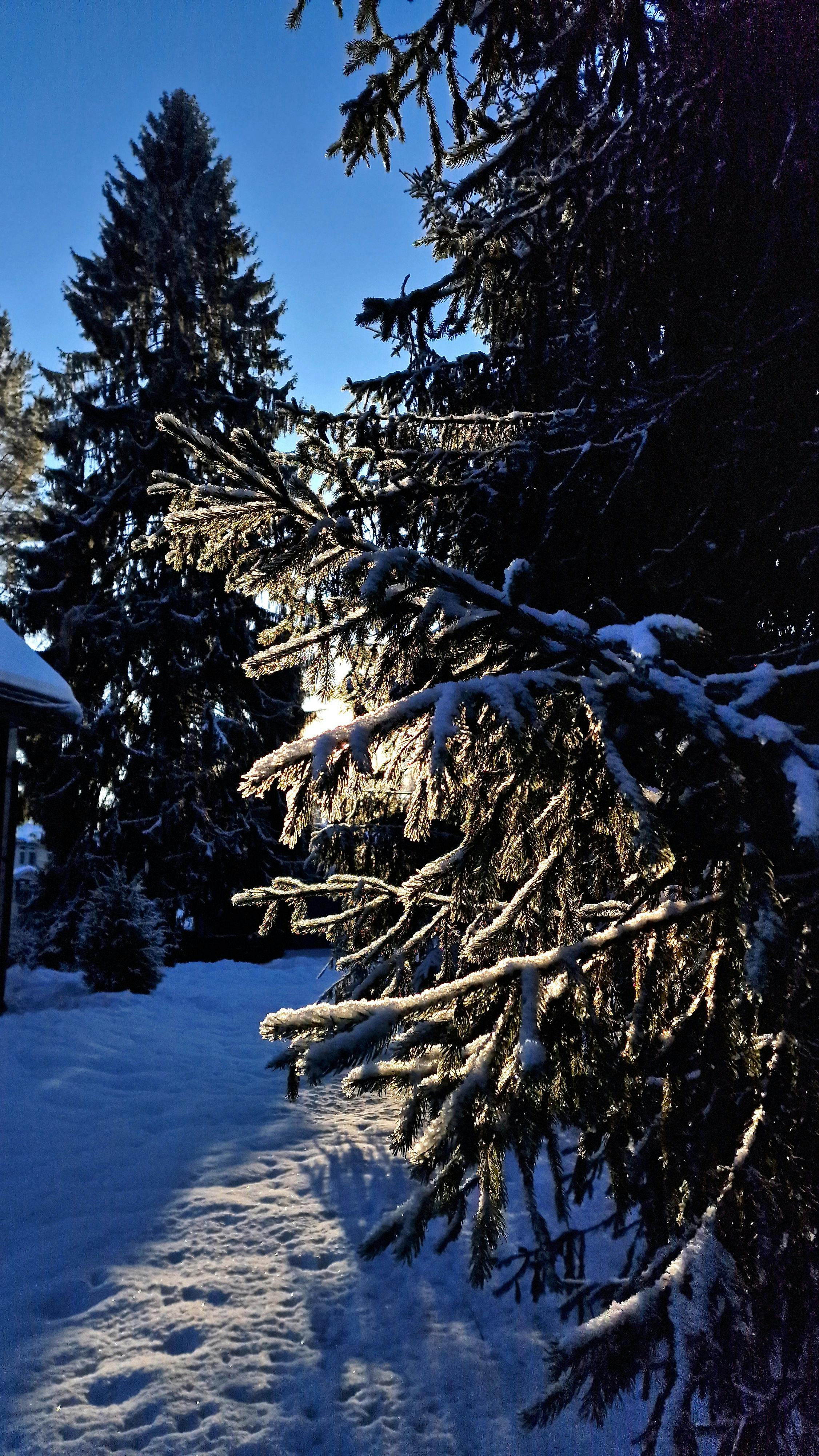 Alexey Chudin - Photography