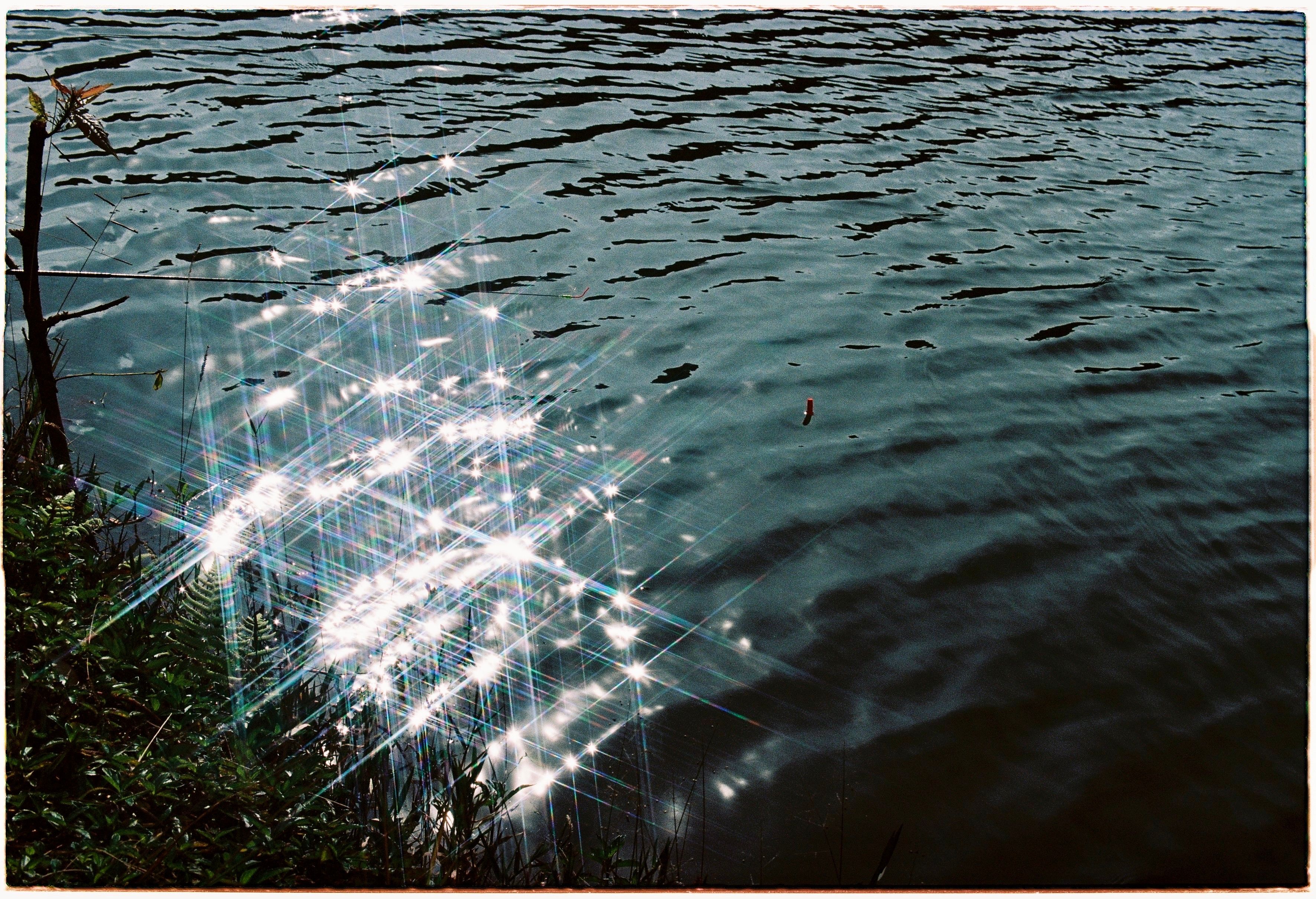 Shiny Water on Lakeshore · Free Stock Photo