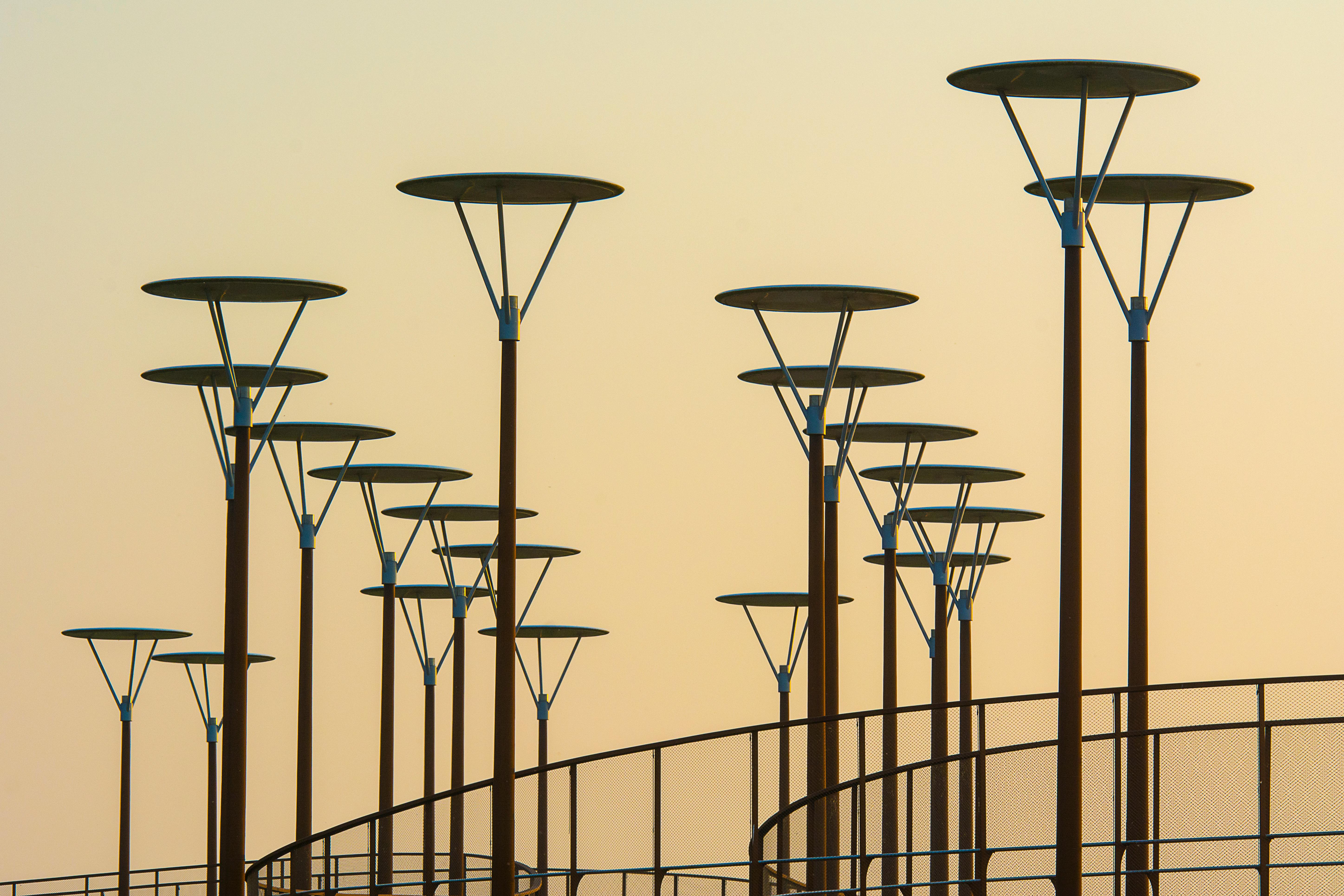 Silhouettes of Poles During Sunset · Free Stock Photo