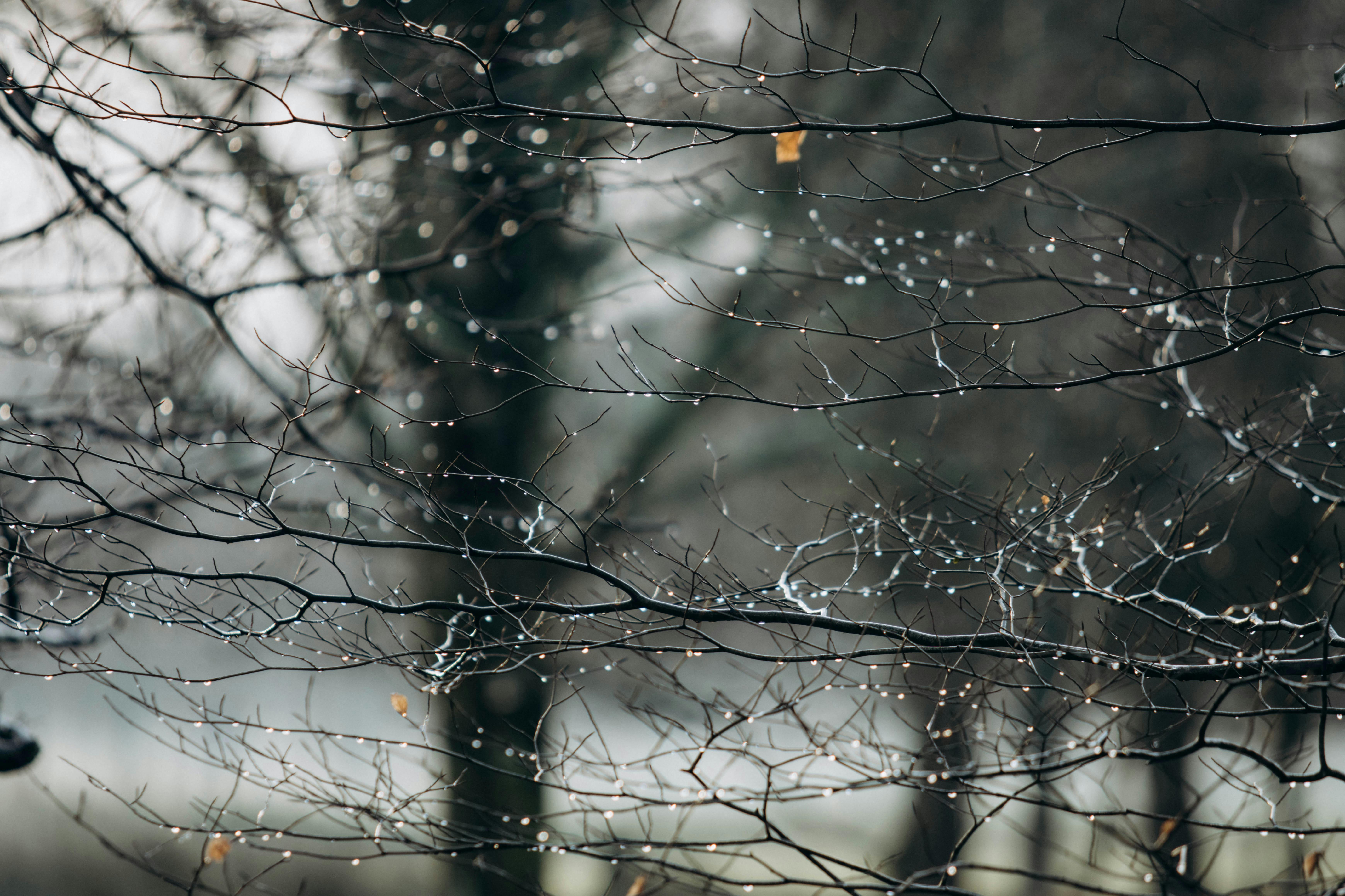 Severe Rain Photos, Download The BEST Free Severe Rain Stock Photos ...