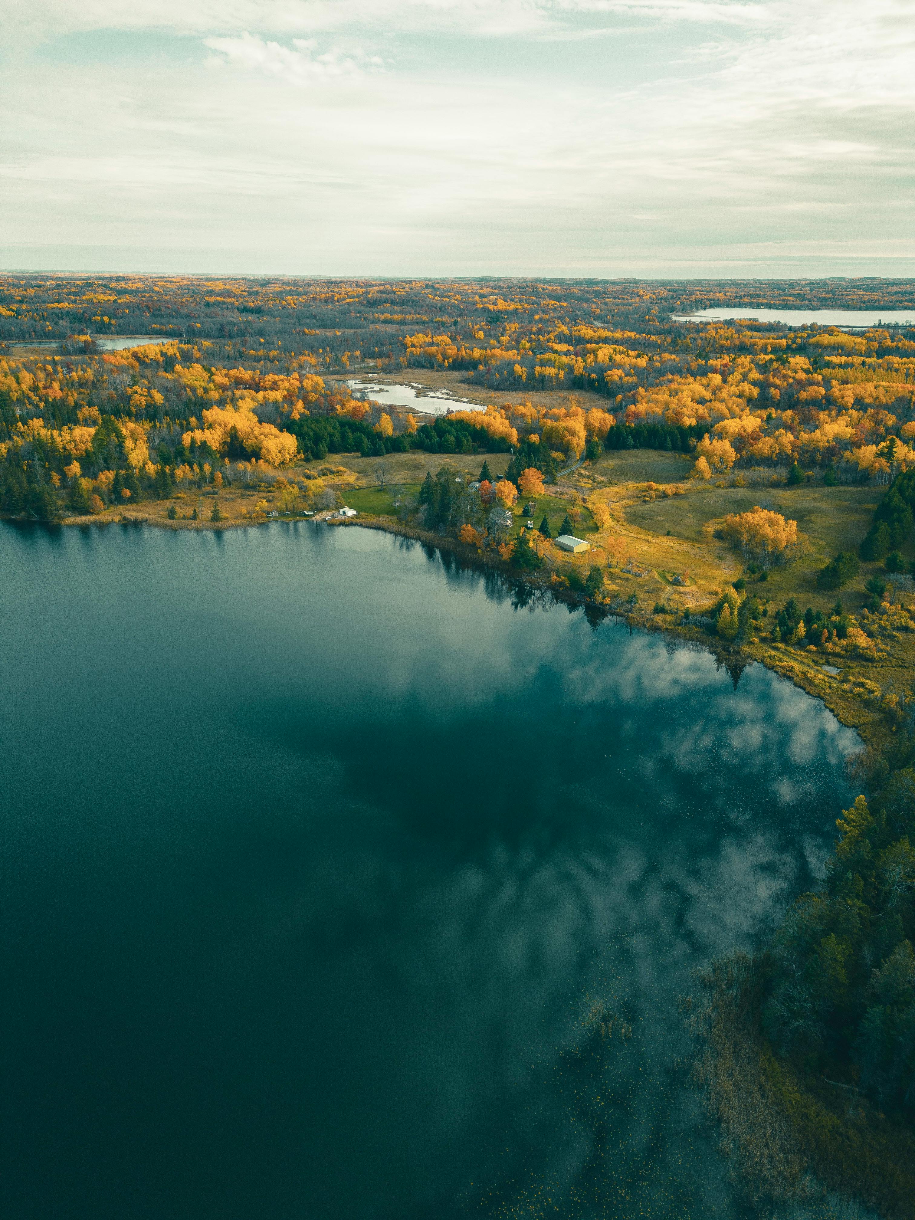Lake and Autumn Forest on Plains behind · Free Stock Photo