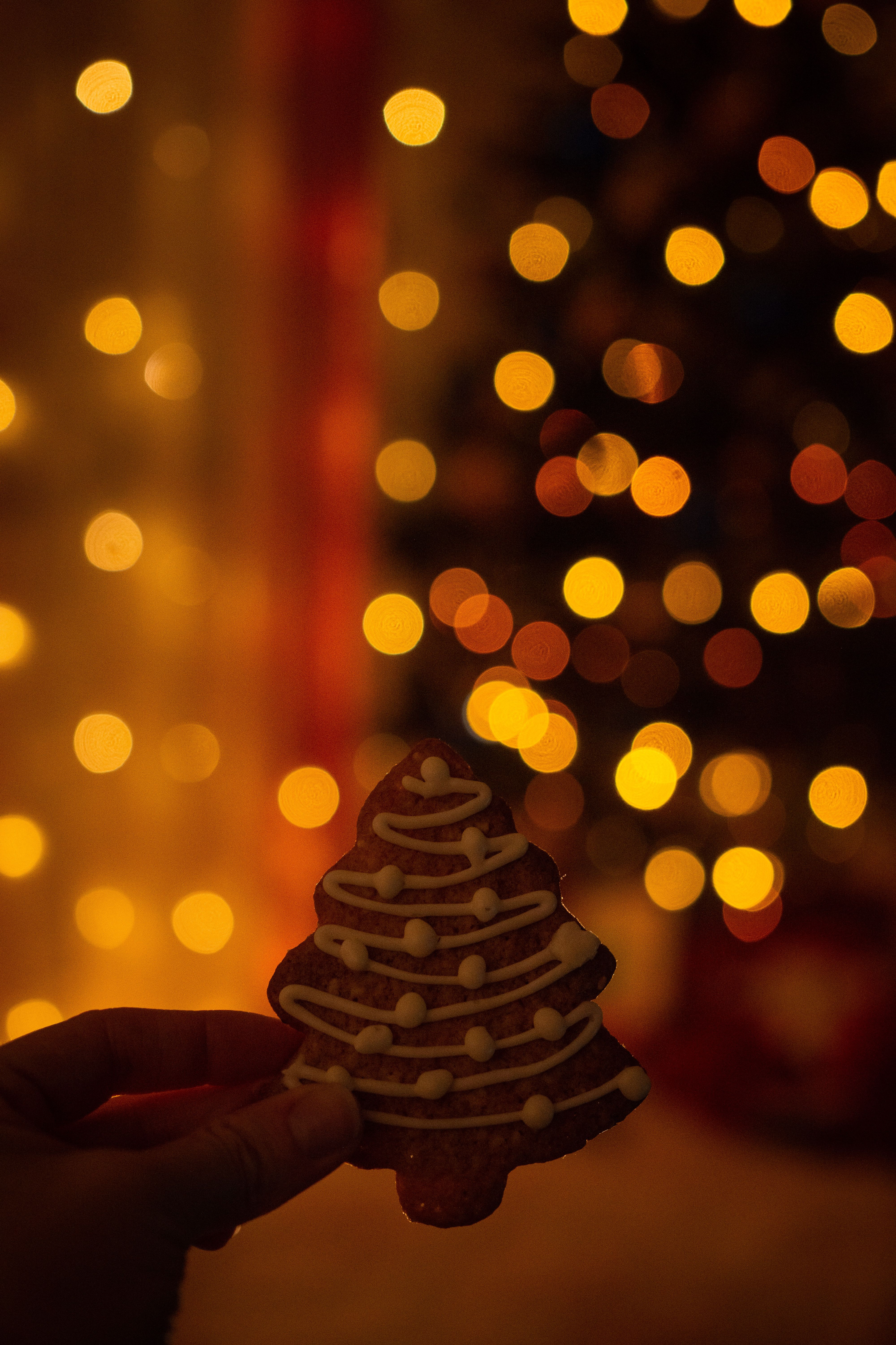 Hand Holding Gingerbread Cookie · Free Stock Photo
