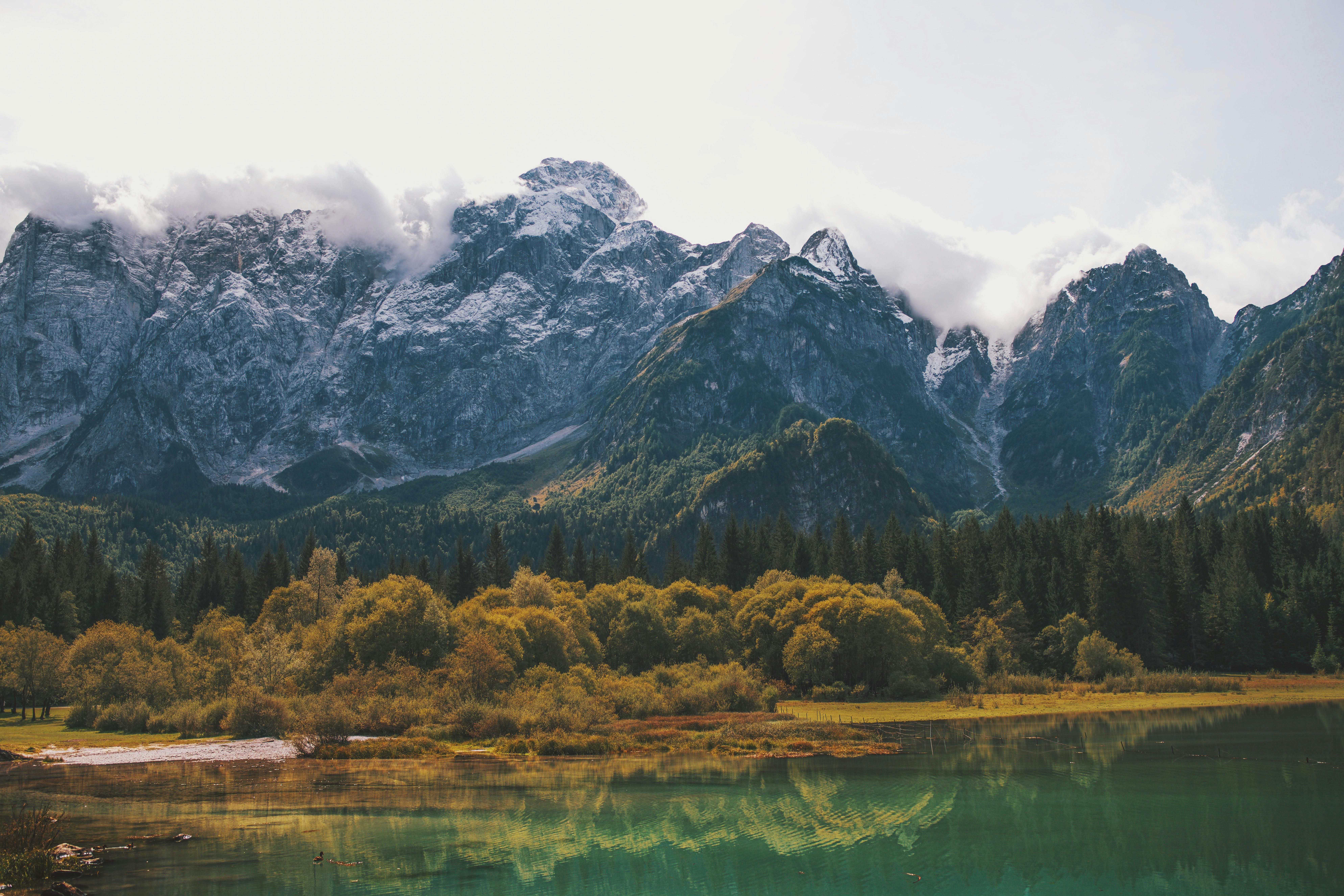 Lower Lake Fusine · Free Stock Photo