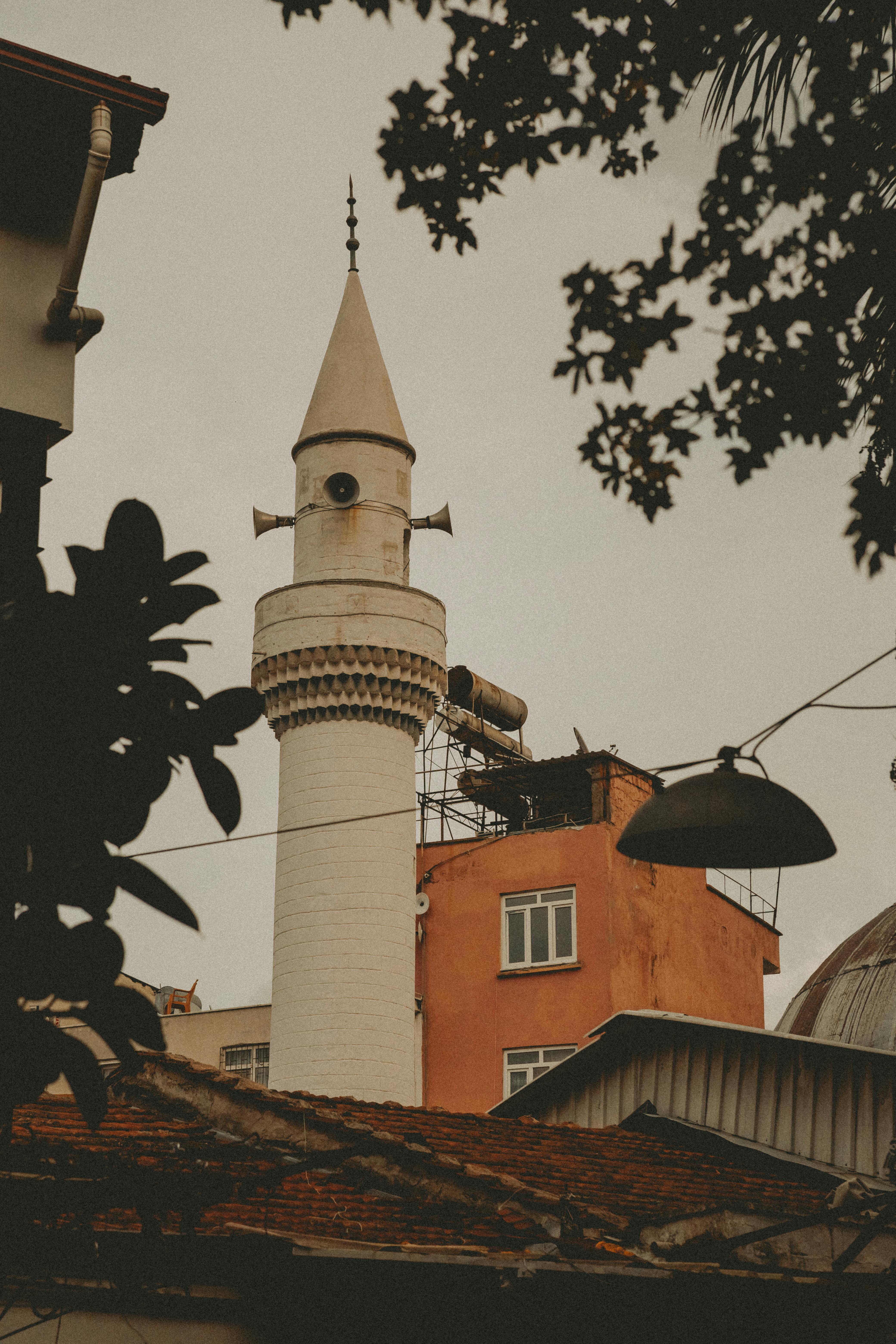 Jpeg Photos, Download The BEST Free Jpeg Stock Photos & HD Images