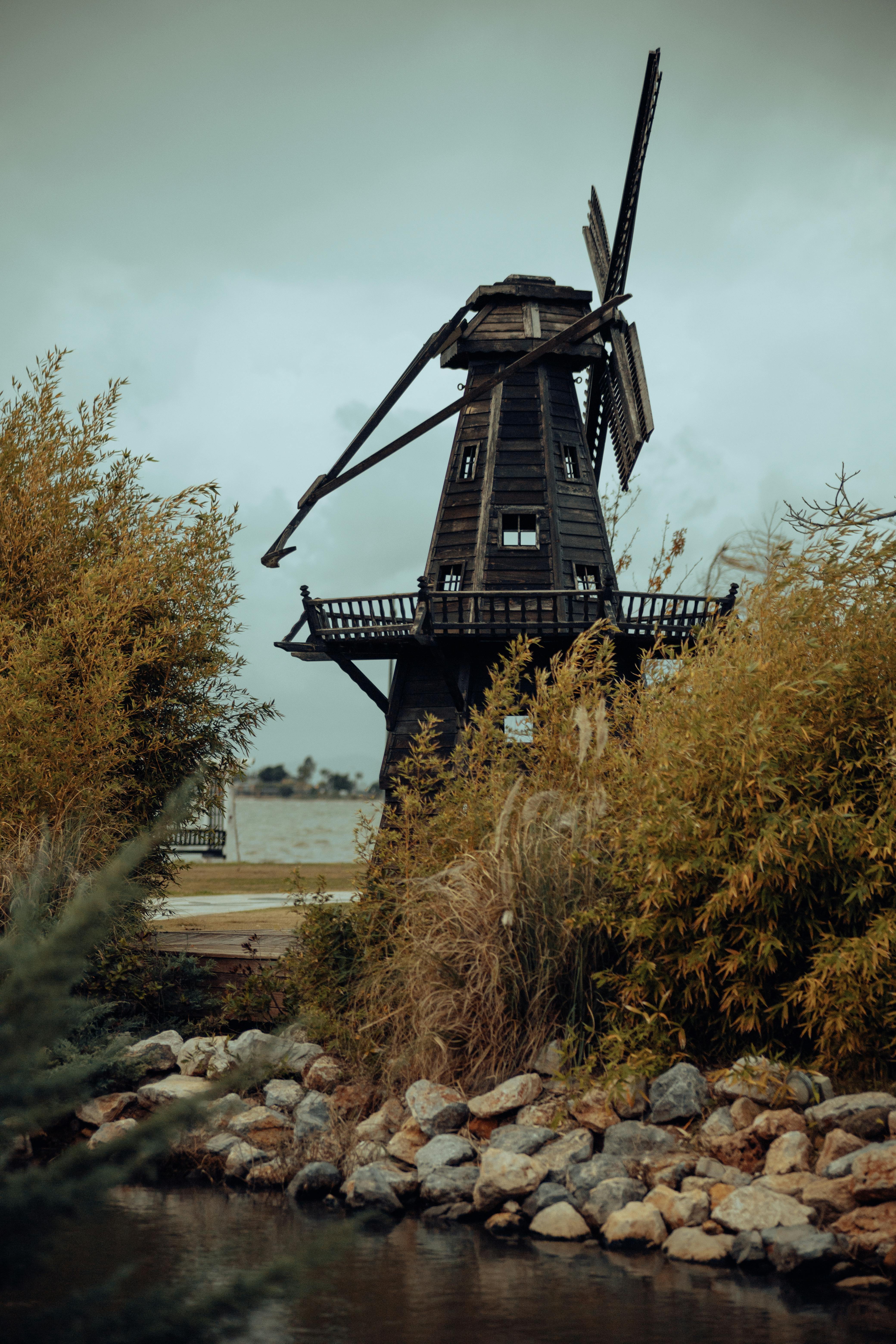 Jpeg Photos, Download The BEST Free Jpeg Stock Photos & HD Images