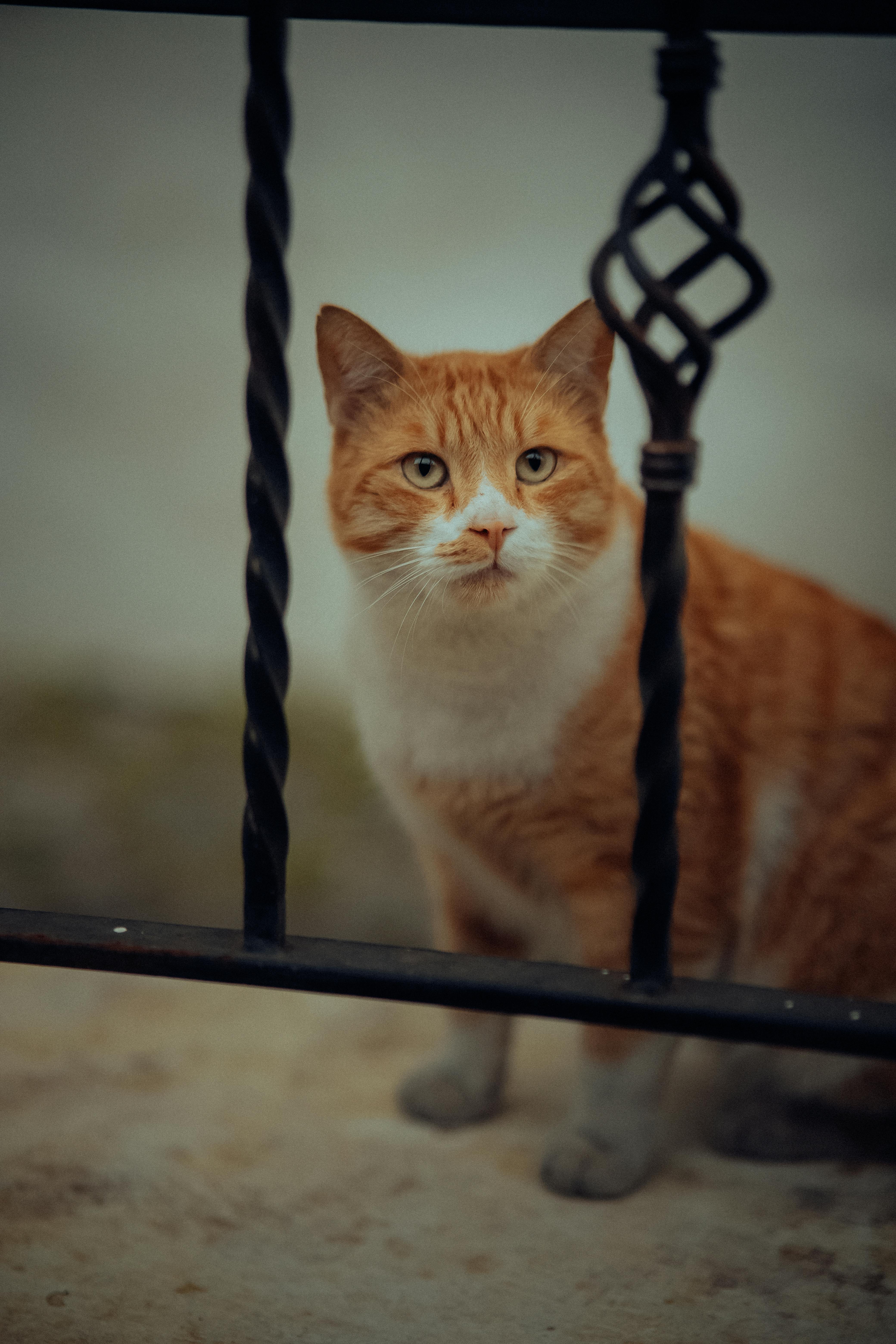 Jpeg Photos, Download The BEST Free Jpeg Stock Photos & HD Images