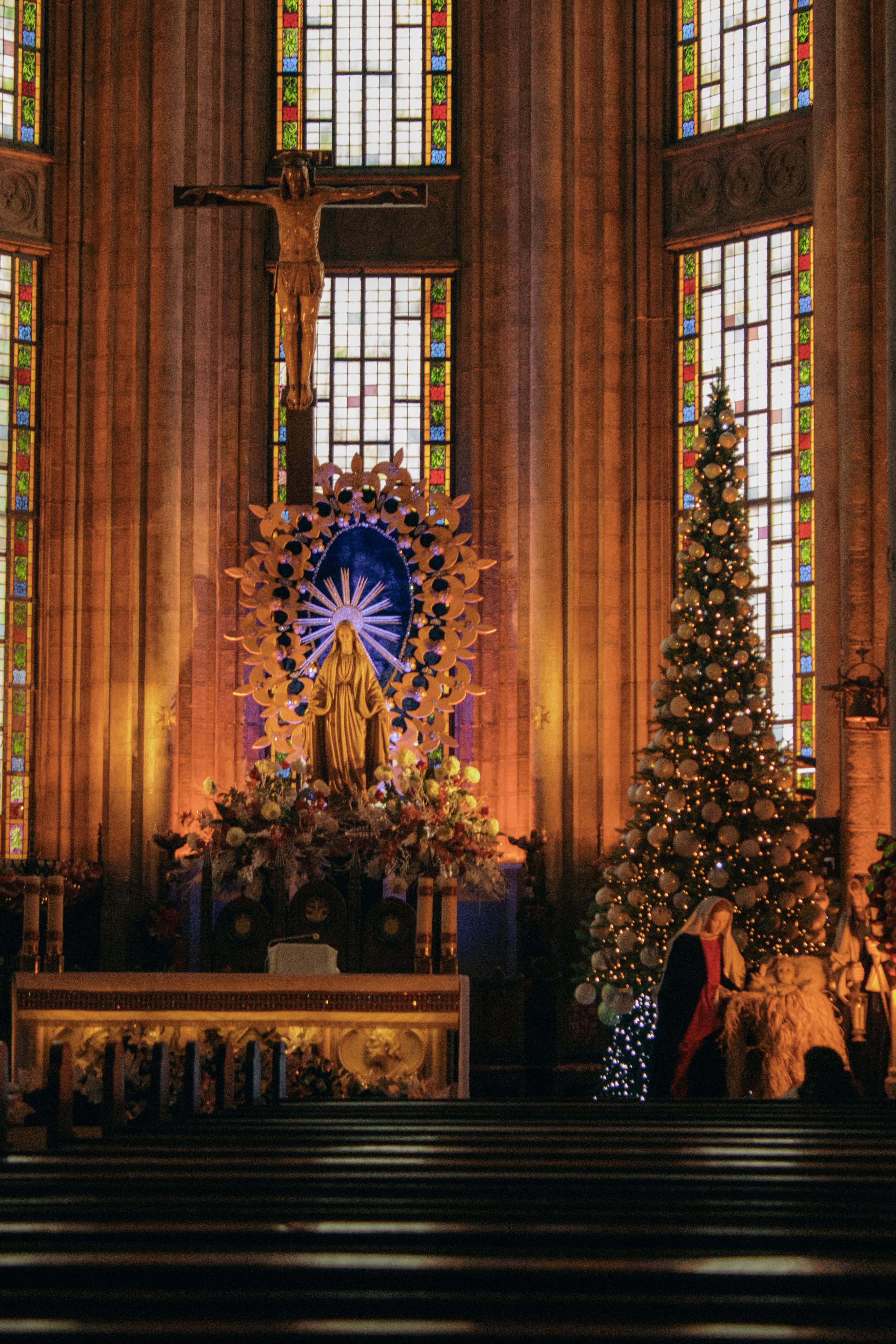 Christmas Tree in Church · Free Stock Photo