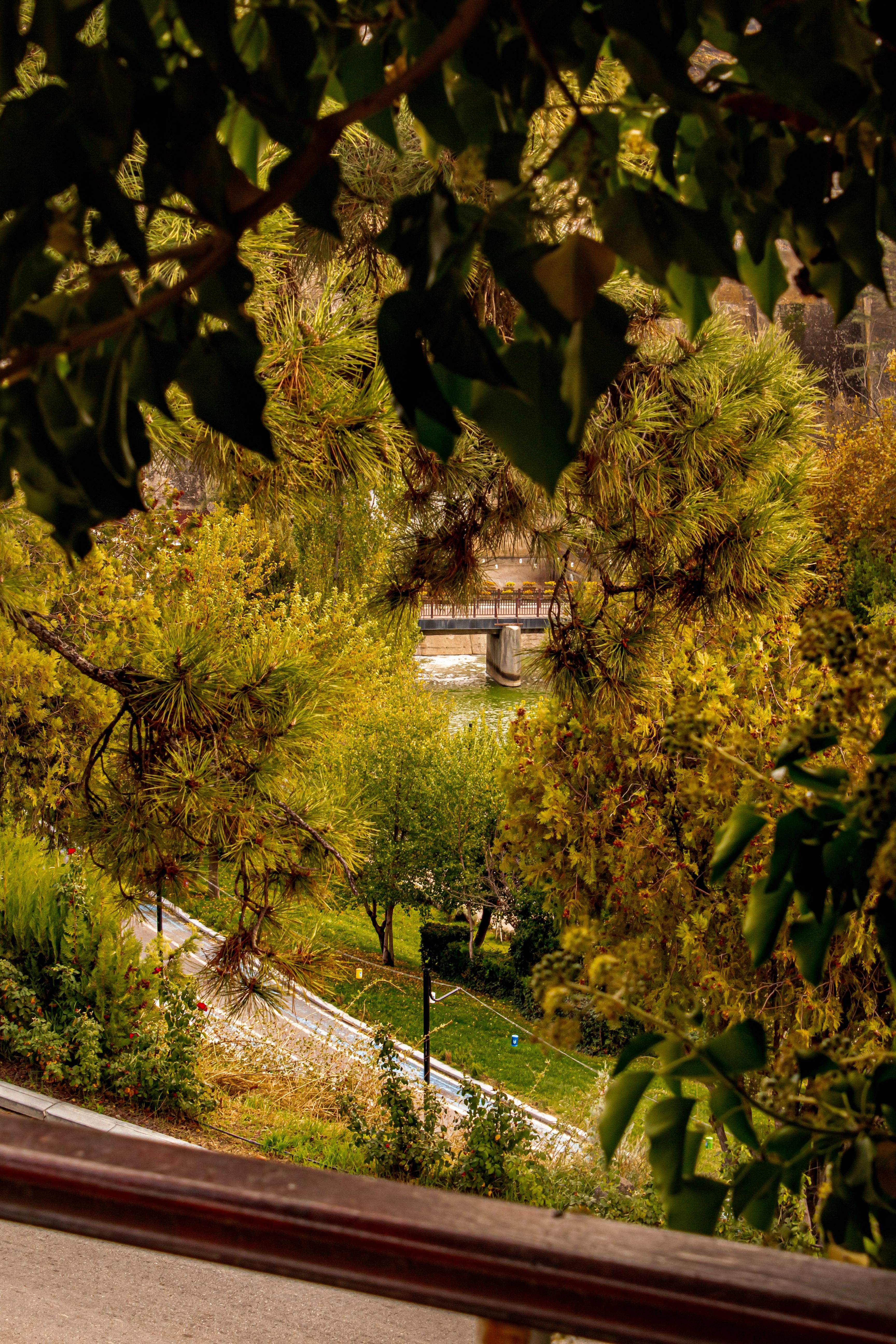 High Angle View of a Garden with Trees · Free Stock Photo
